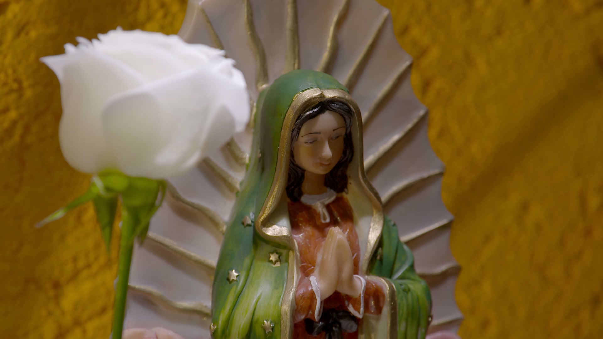 TOP 10: Estos son capítulos más vistos de 'La Rosa de Guadalupe' en YouTube | Shows La Rosa de ...
