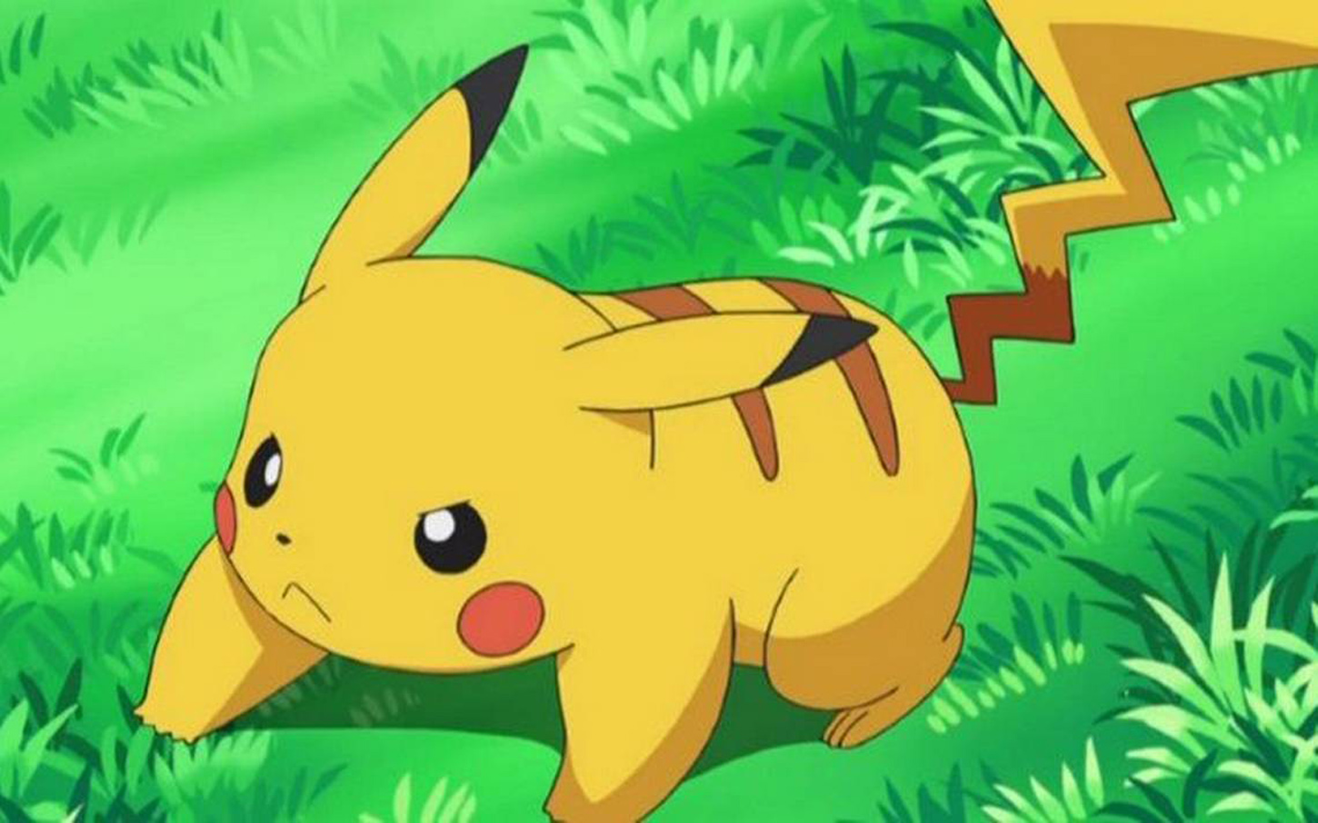 Revelan el animal en el que está inspirado ‘Pikachu’ de ‘Pokémon’ | Las ...