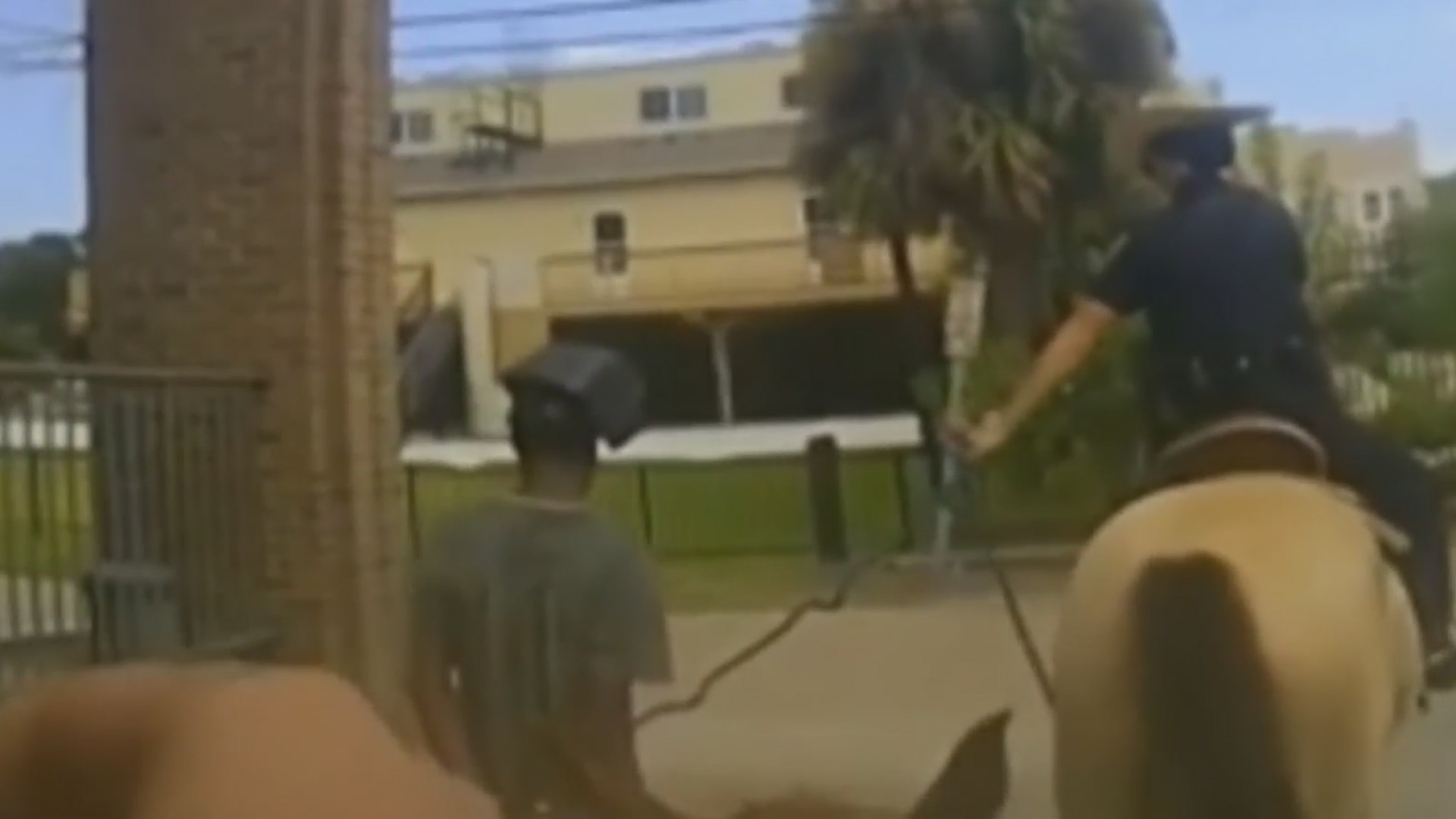 Indignación por imágenes de una policía a caballo halando con una soga ...