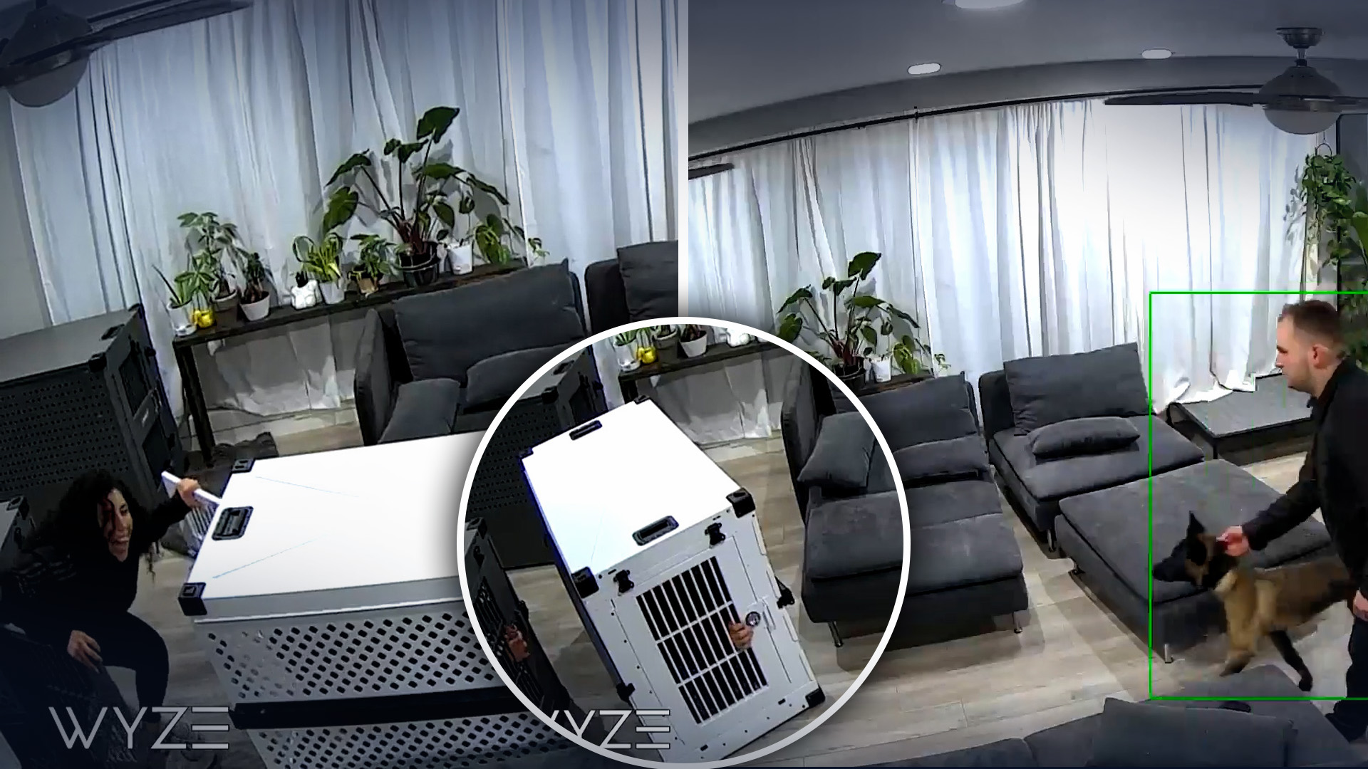 Stephanie Ferrari y su esposo quedan encerrados en unas jaulas para ...