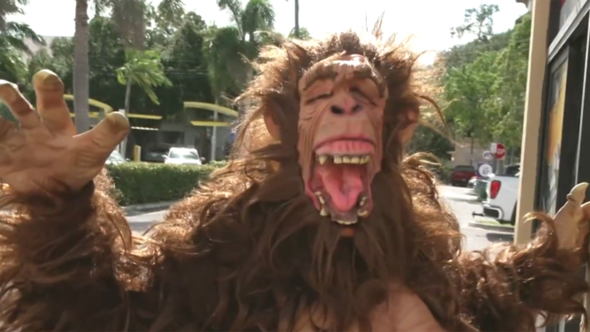 El mono loco salió a asustar en Halloween: así reaccionó la gente en ...