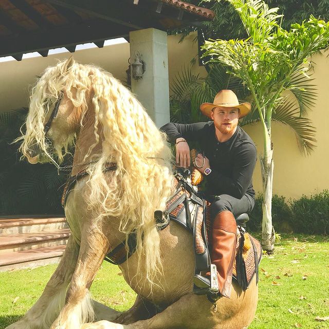 Canelo Álvarez y su majestuoso rancho: de las caballerizas hasta los ...