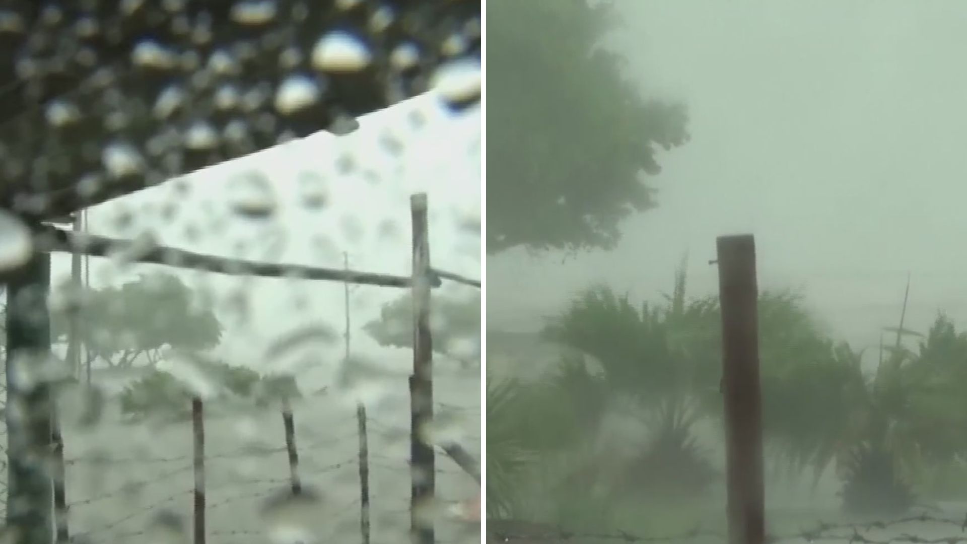 Huracán Idalia se fortalece como categoría 1 y se dirige hacia Florida ...