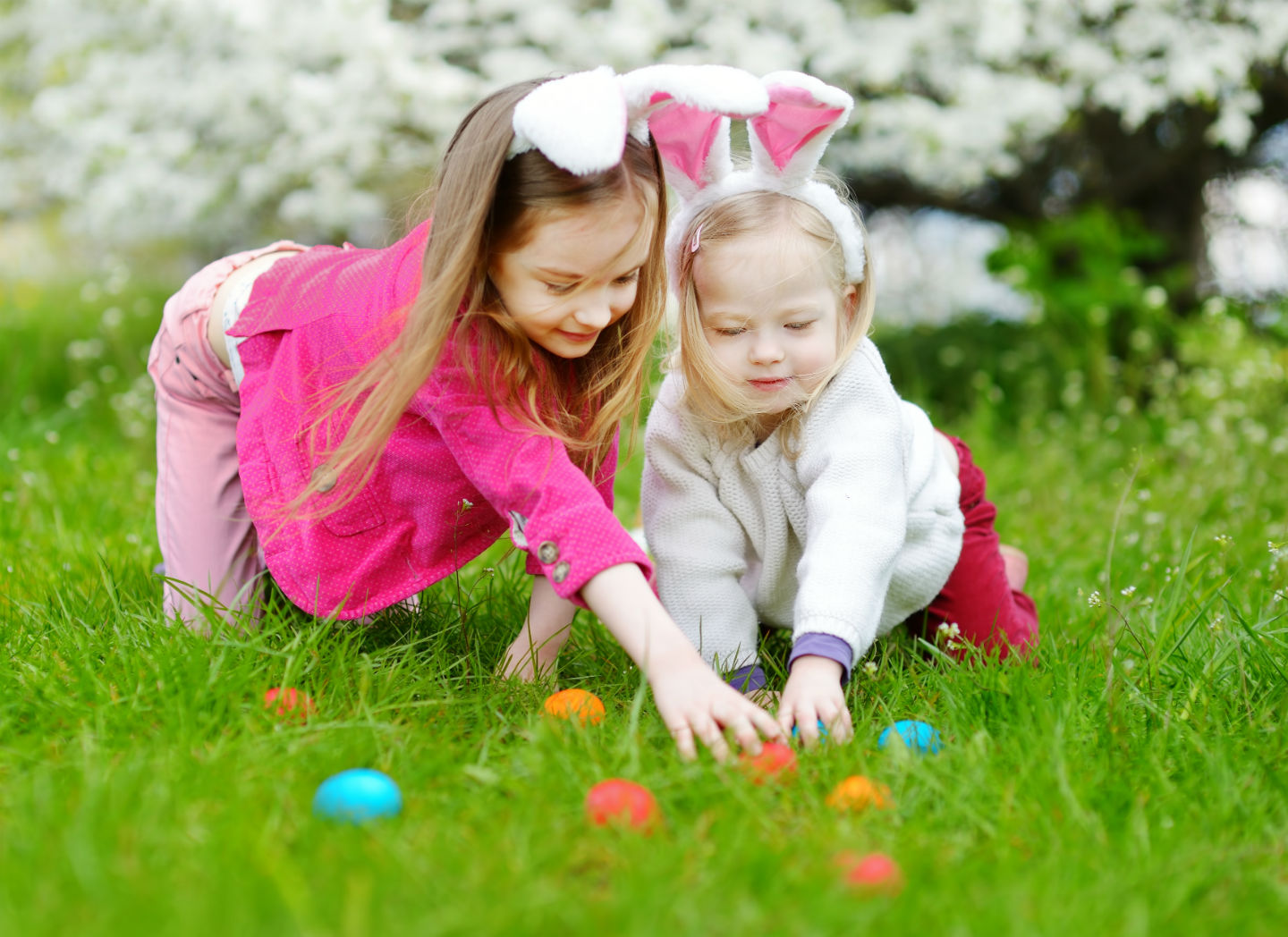 Egg Hunts Extragavanza: los mejores egg hunts en Estados Unidos ...