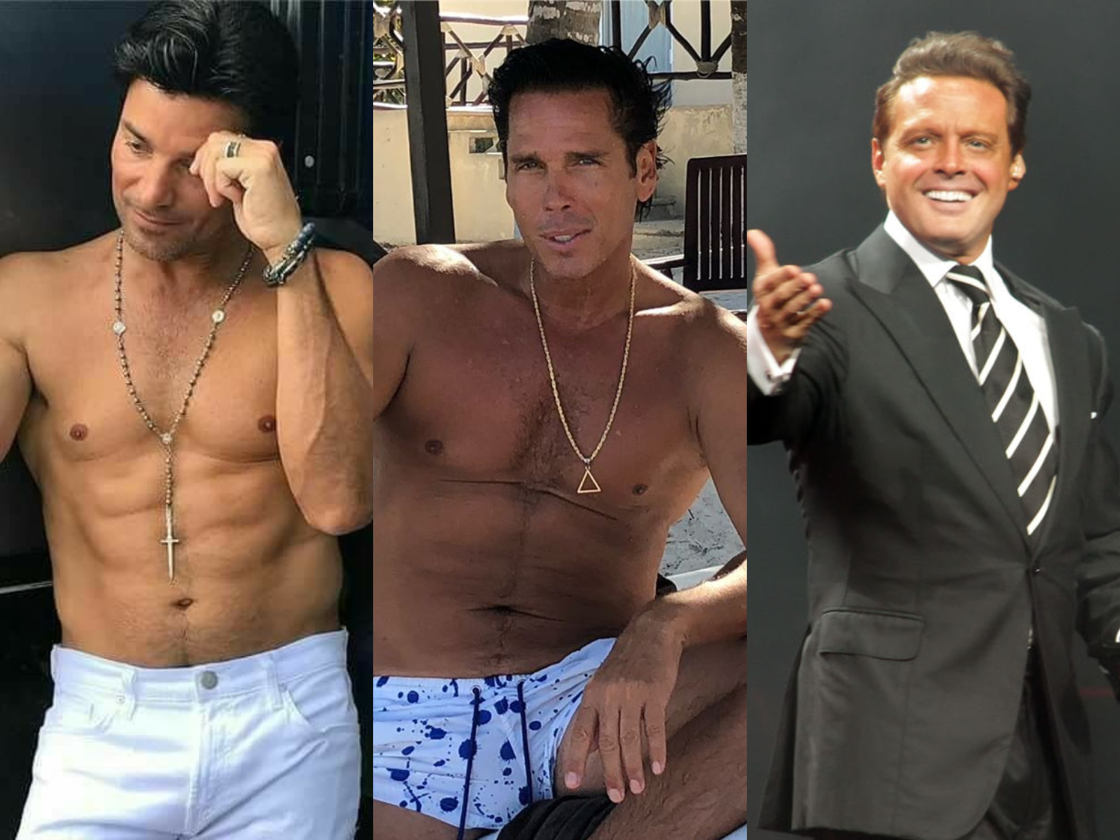 De Chayanne a Luis Miguel, ellos son los famosos cincuentones y ...