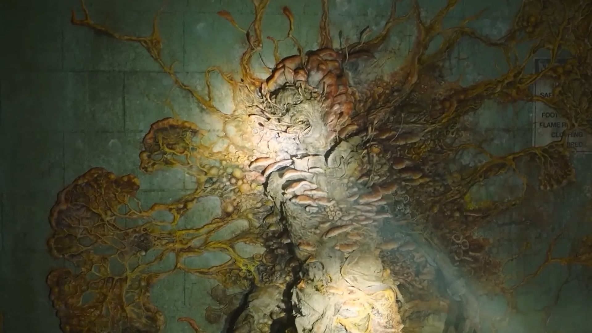 Hongo De La Universidad De Los Monstruos