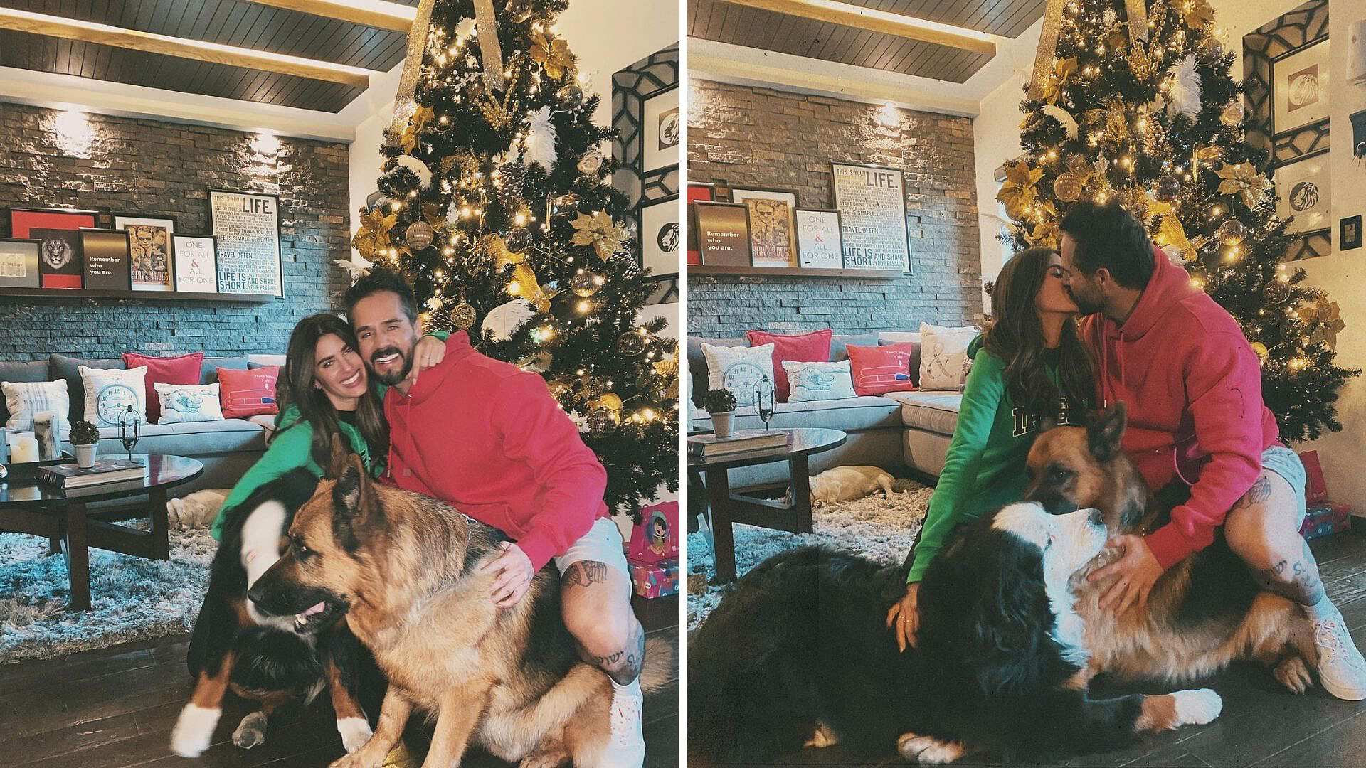 José Ron se pone romántico con su novia y muestran su primer árbol de ...