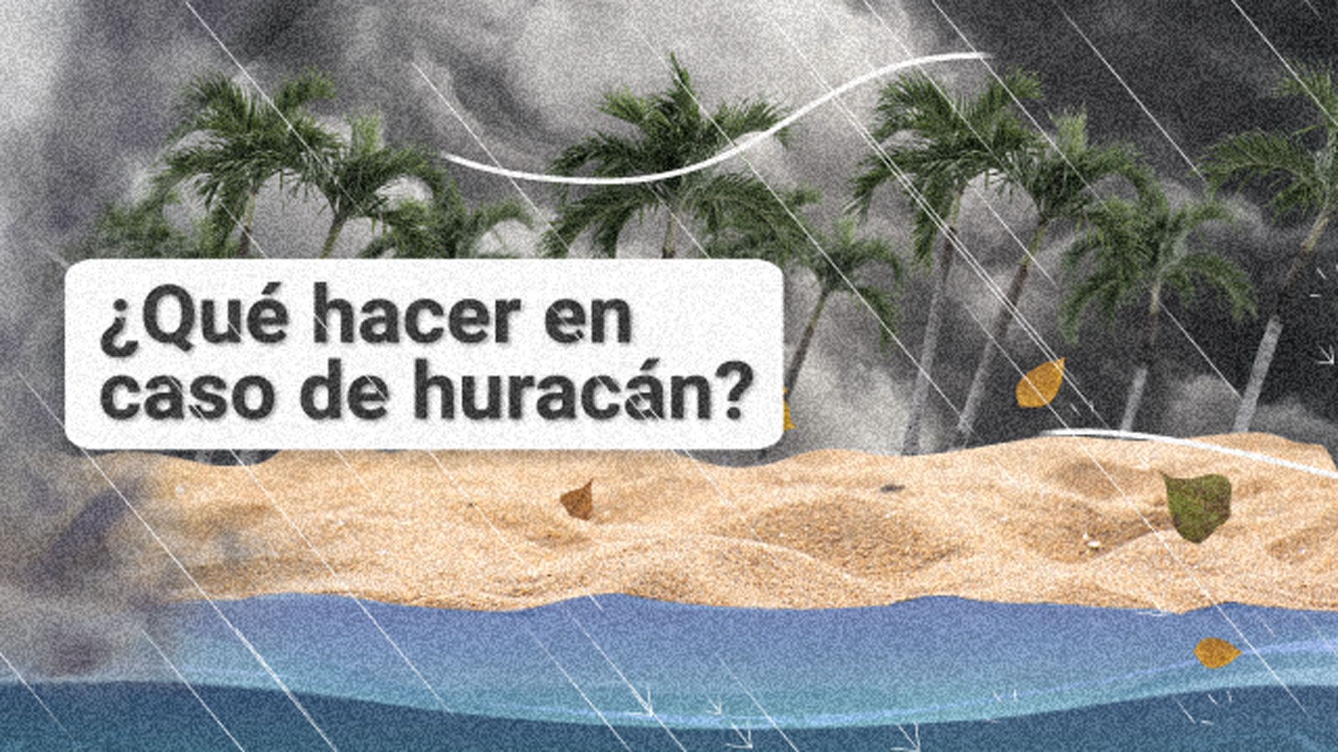 ¿Cómo debes prepararte tú y tu casa en caso de huracán? Te explicamos | Noticias Univision ...