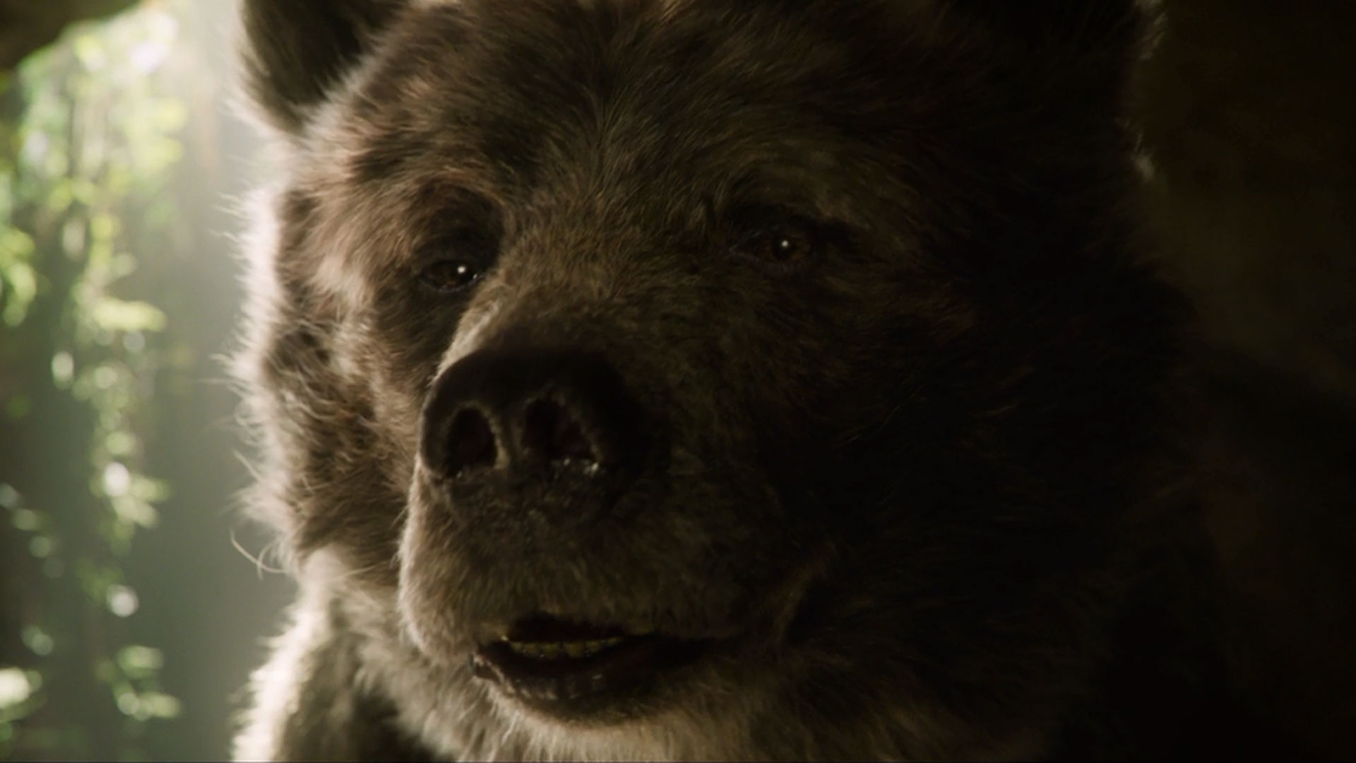 'The Jungle Book': conoce a Baloo | UNIMÁS | Univision