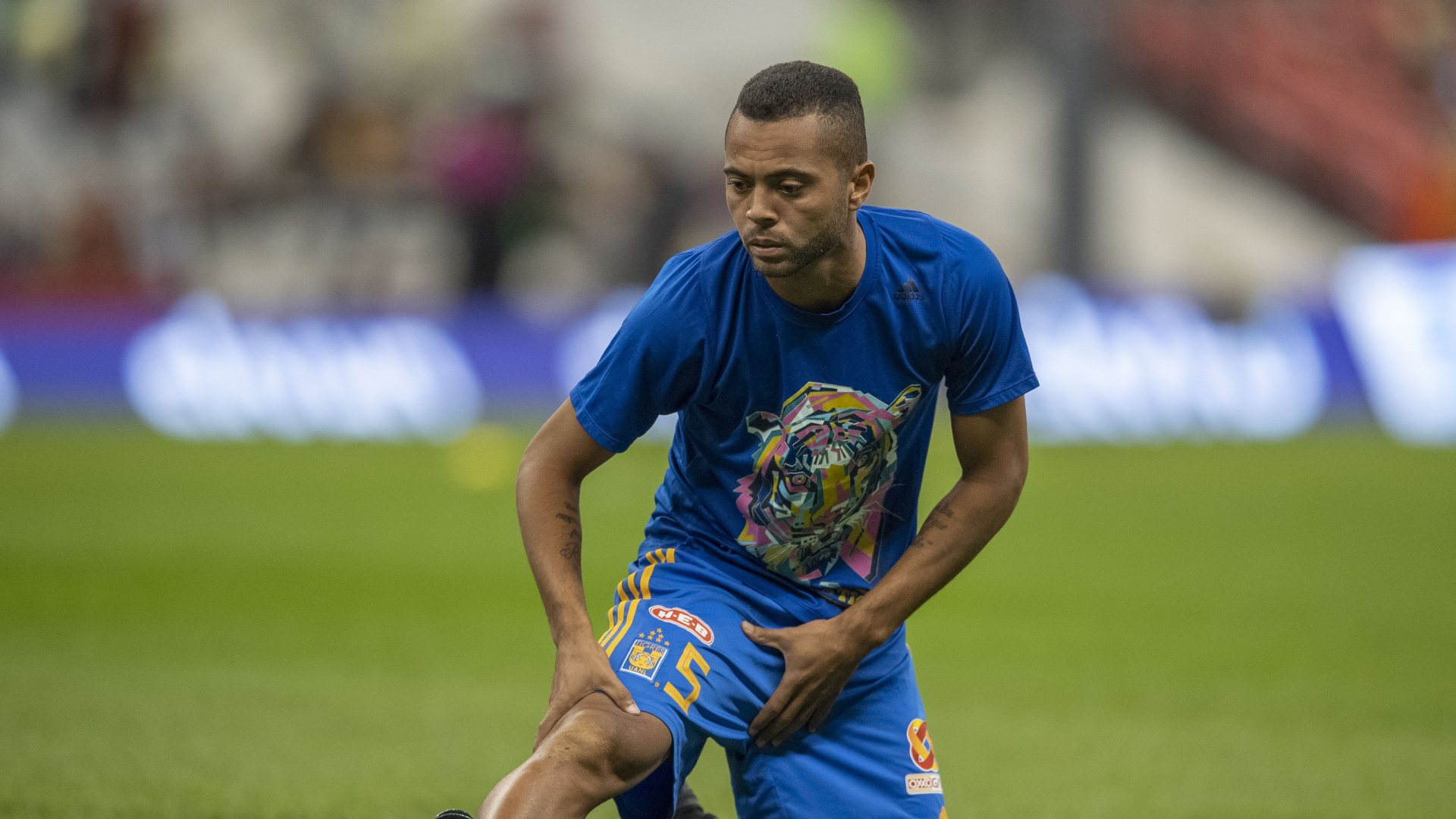 Rafael Carioca todavía no renueva su contrato con los Tigres y su ...