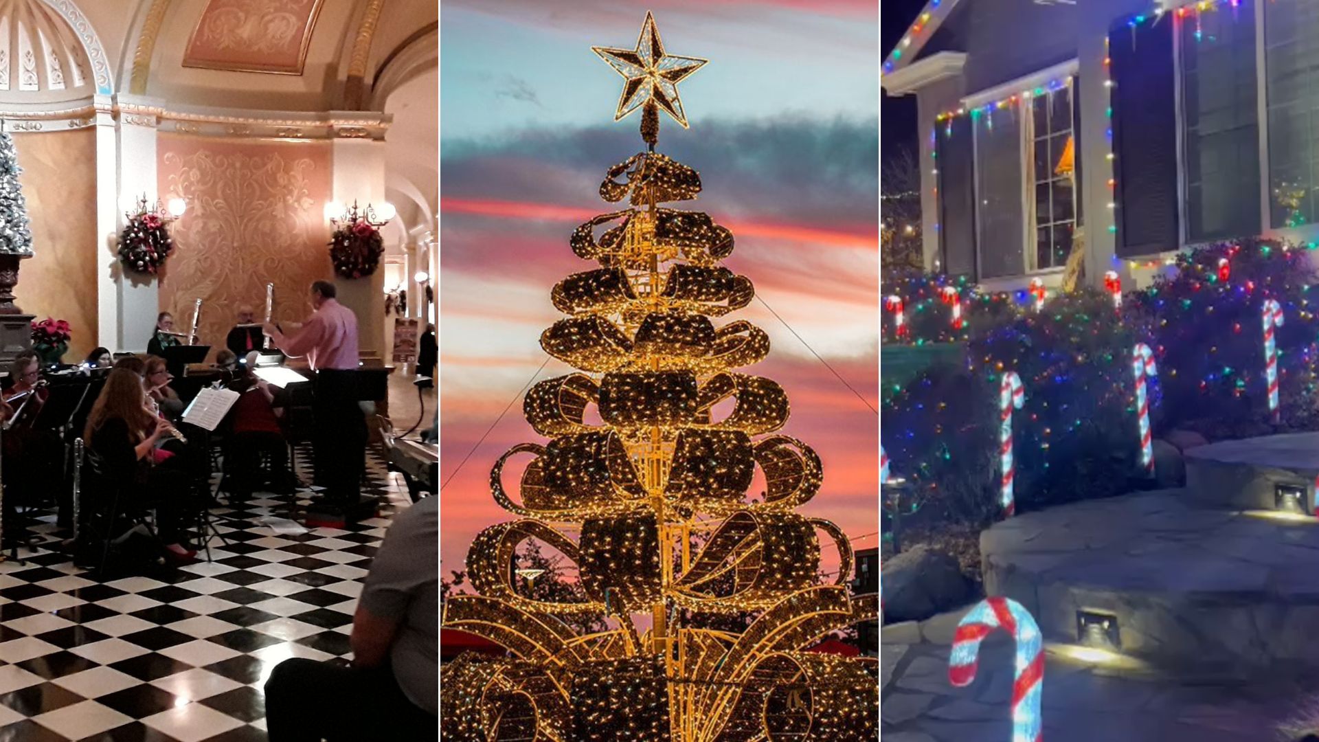 6 actividades que hacer durante la temporada de Navidad en la región de ...