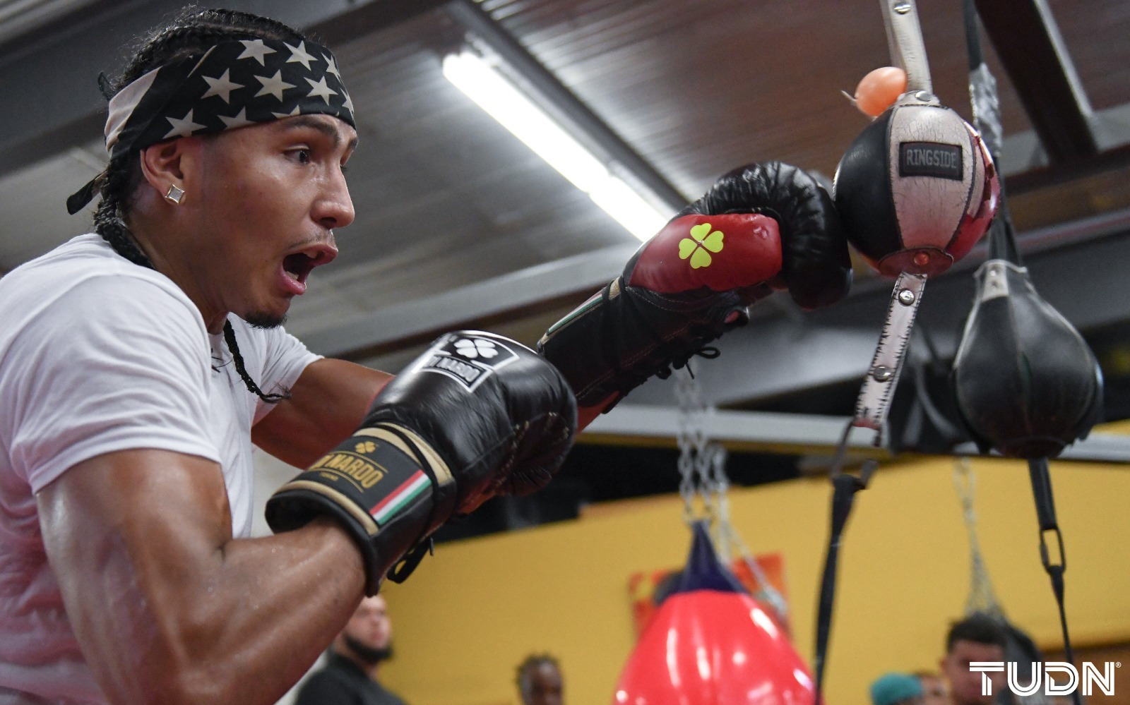 Harold 'El Rey' Calderón se alista tras cancelación de la pelea entre ...