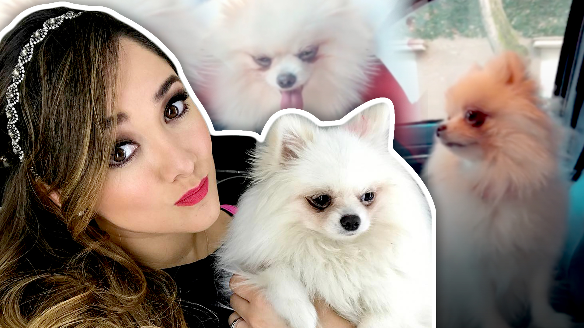 Sherlyn llama 'hija de perra' a su fiel amiga | Univision Famosos ...