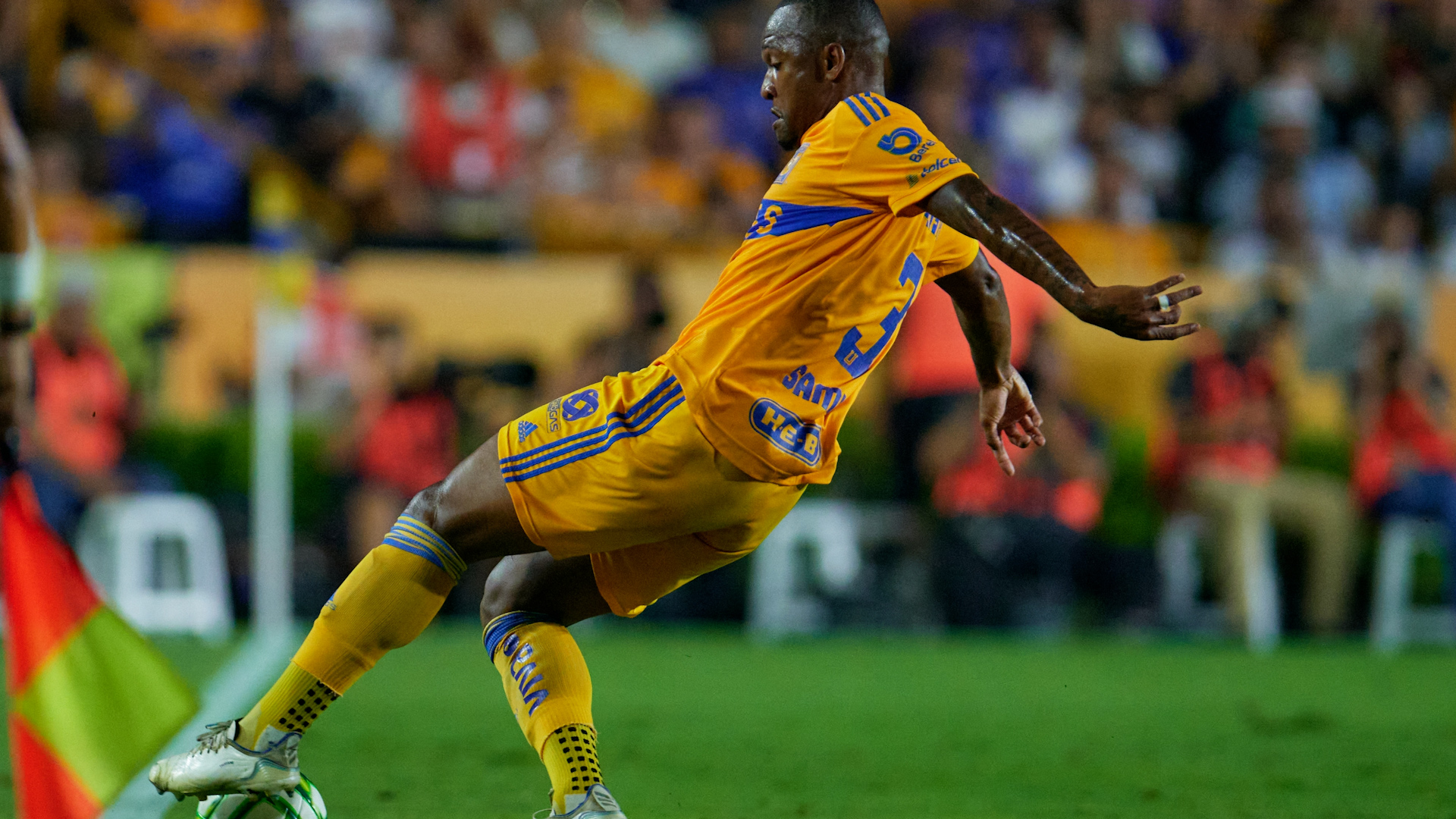 Samir Caetano resalta a Tigres en la Final a pesar de que nadie creía ...