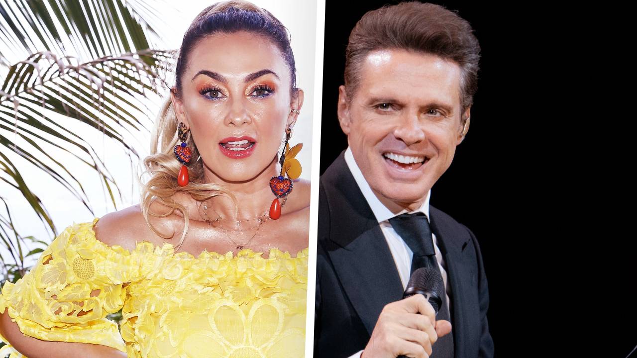 Así explotó el pleito entre Luis Miguel y Aracely Arámbula por la manutención de sus hijos ...