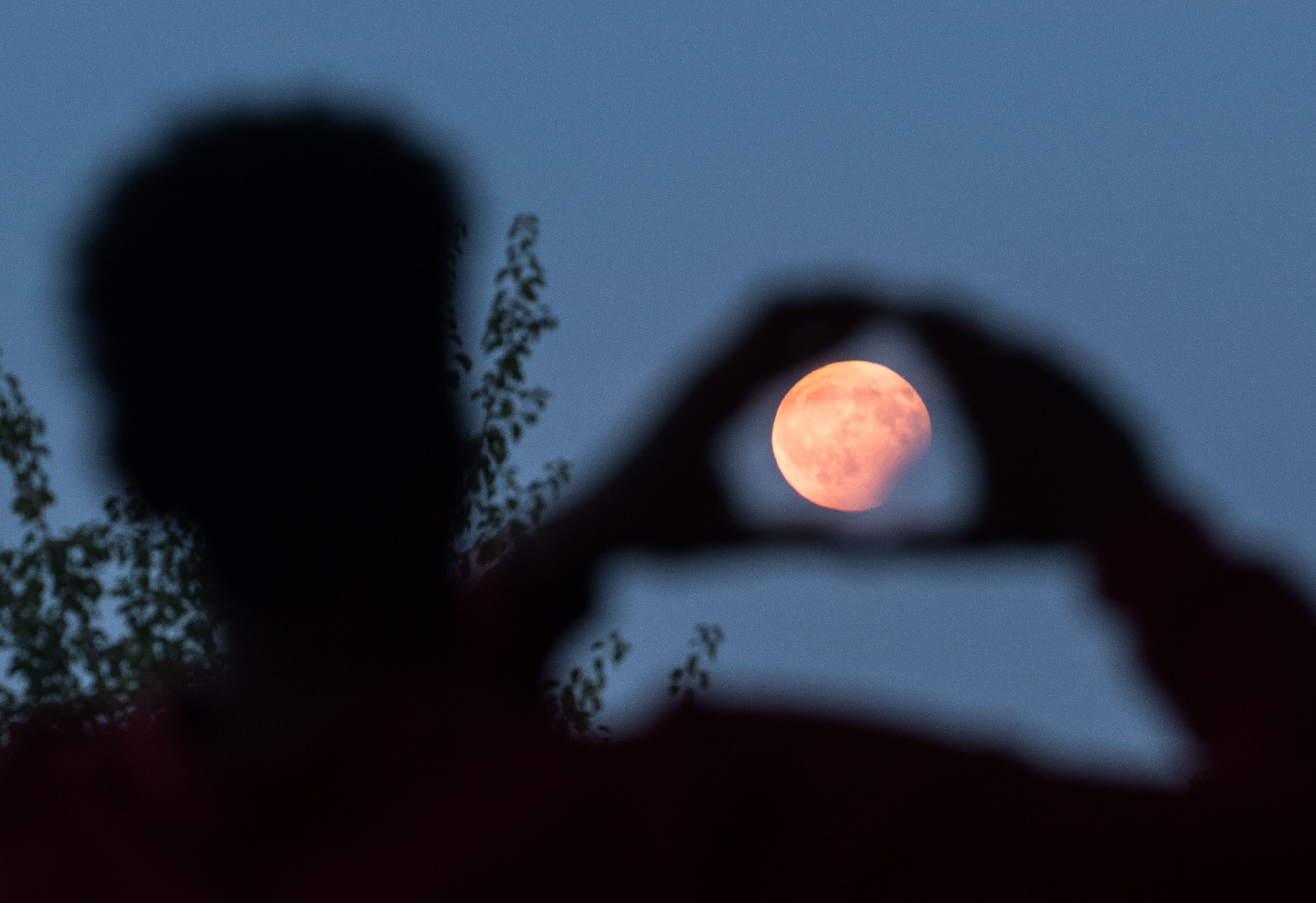 Todo lo que necesitas saber sobre el eclipse lunar y cómo disfrutarlo | Fotos | Univision 41 ...