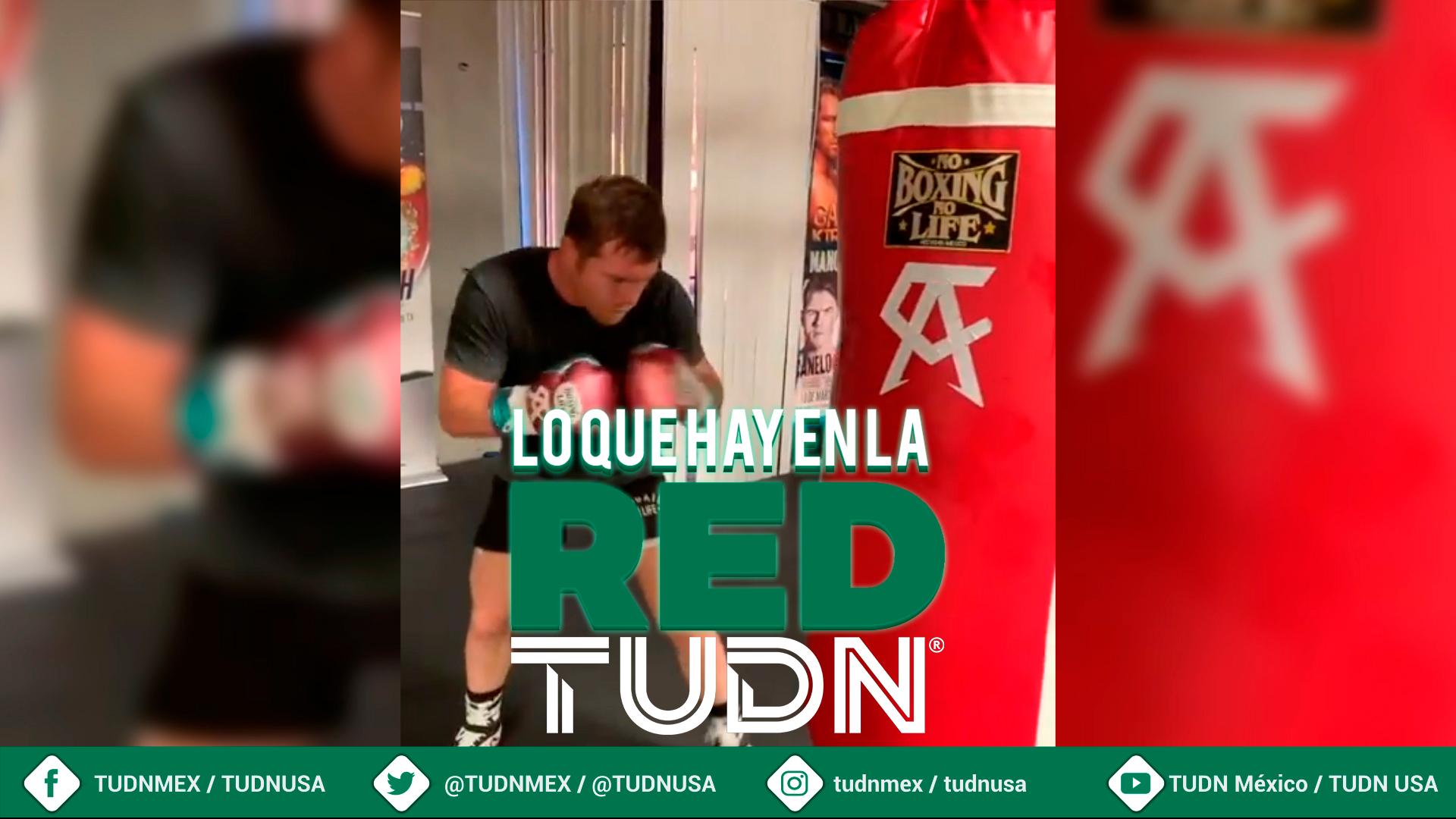 'Canelo' Álvarez regresó al gym de la mejor forma | TUDN Boxeo | TUDN