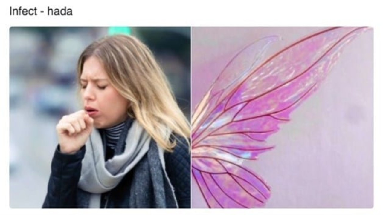 5 grandes momentos del meme de las alas de hada | Shows Chistes ...