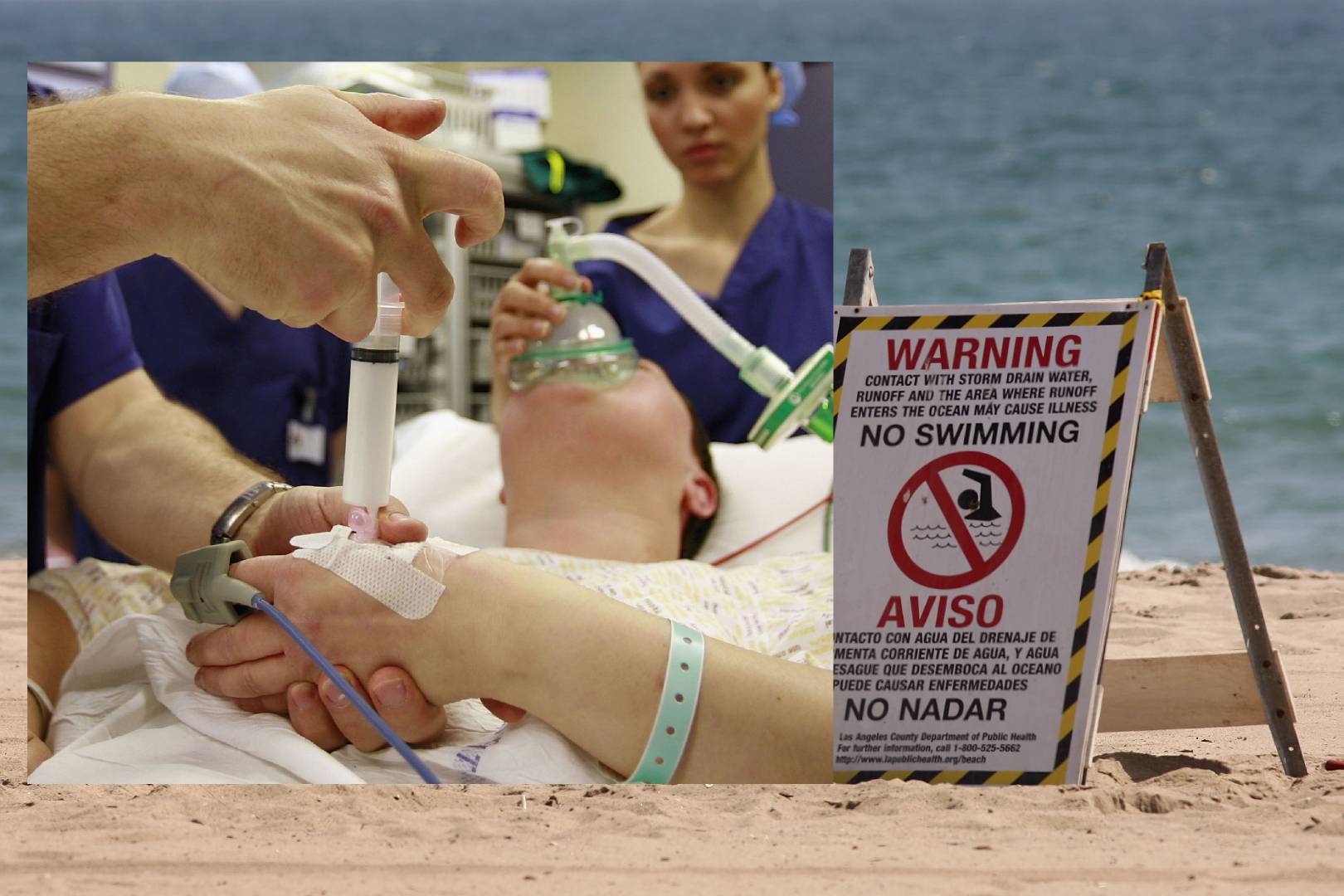 Bacteria come carne: Los grupos de riesgo y consejos de expertos para ...