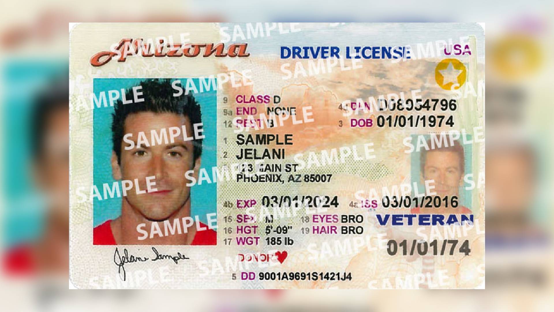 Estos son los documentos que necesitas para solicitar el ‘Real ID’ en ...