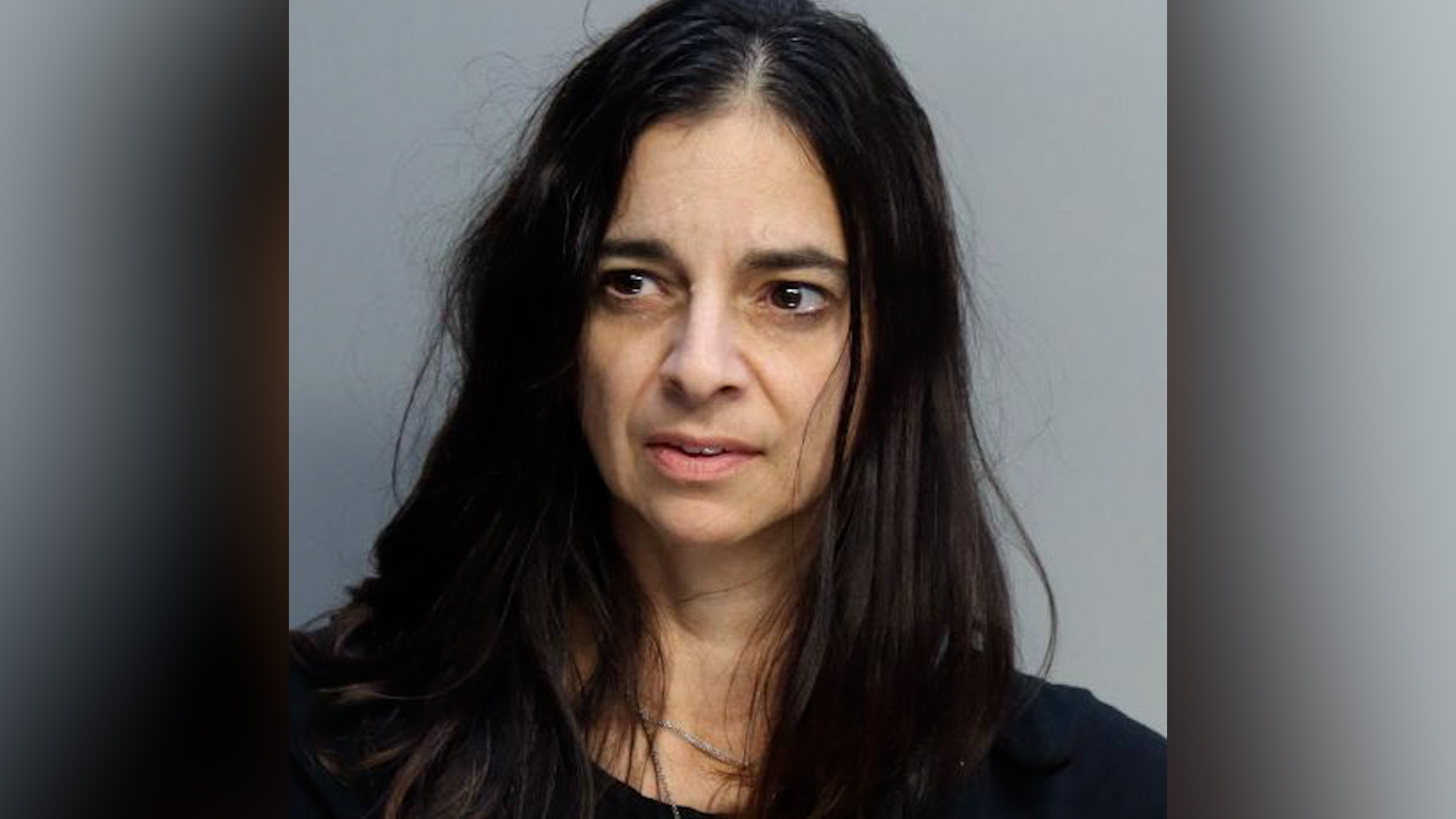 Arrestan a experiodista de Miami Cathy Areu acusada de secuestrar y ...