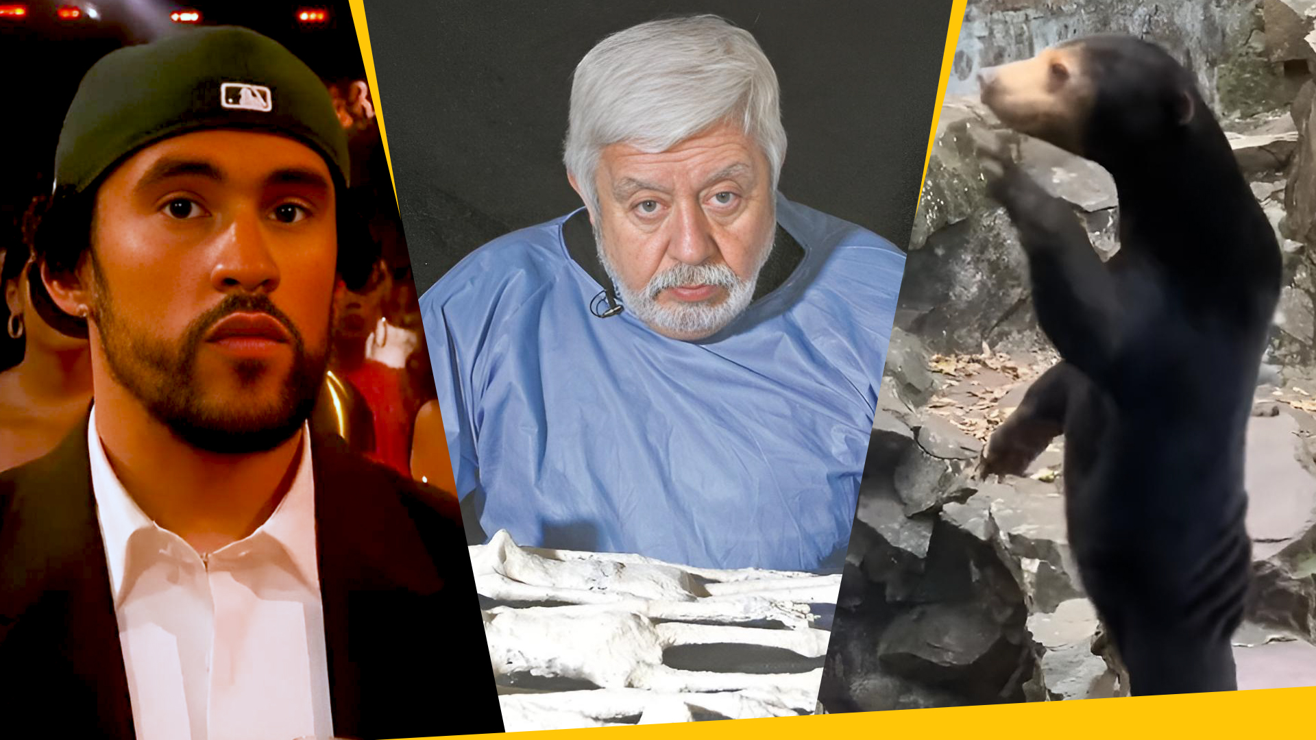 Momentos de 2023 que nos hicieron creer que vivimos en una simulación ...