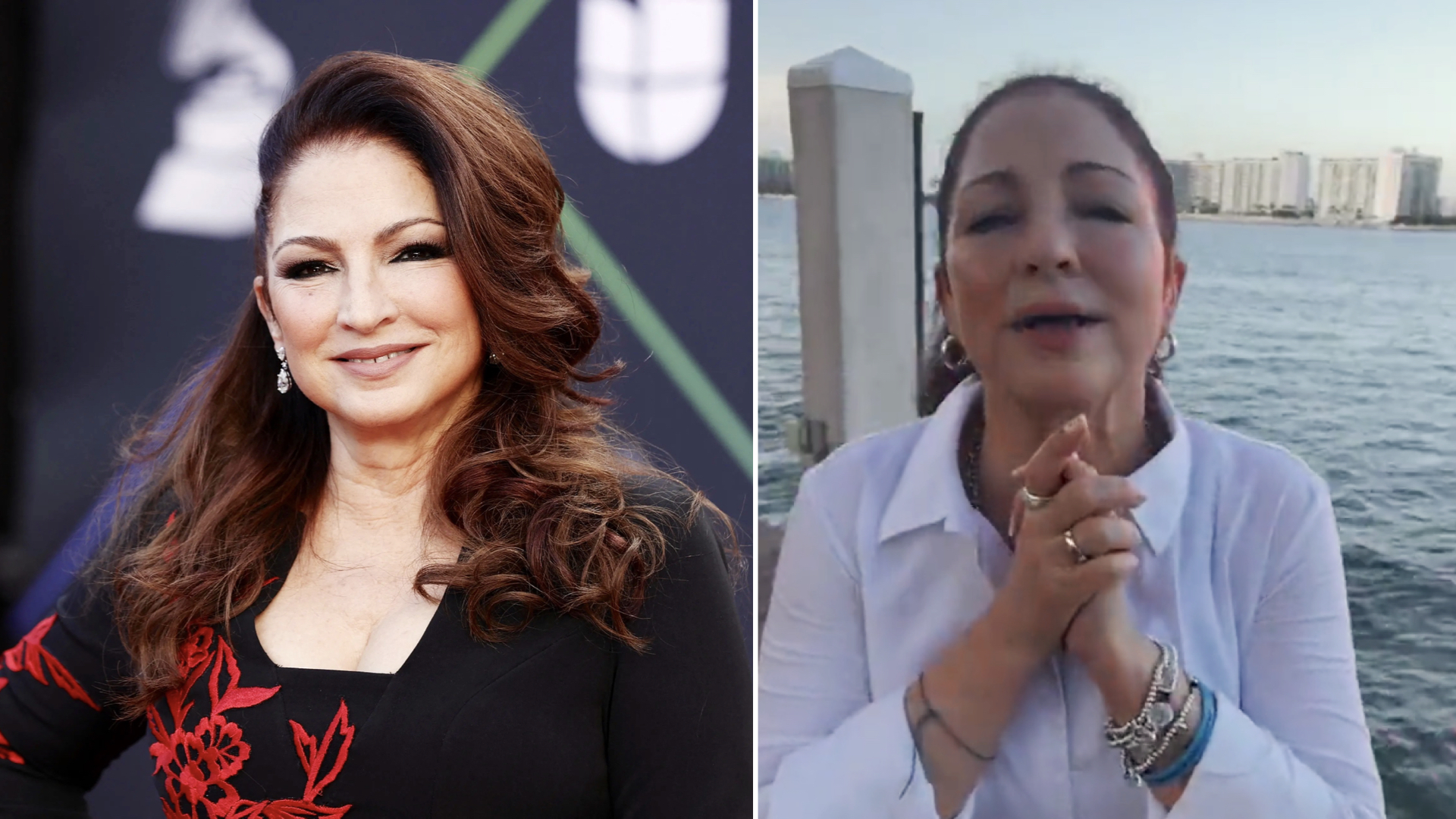 El extravagante detalle que le regalaron a Gloria Estefan por sus 65 ...