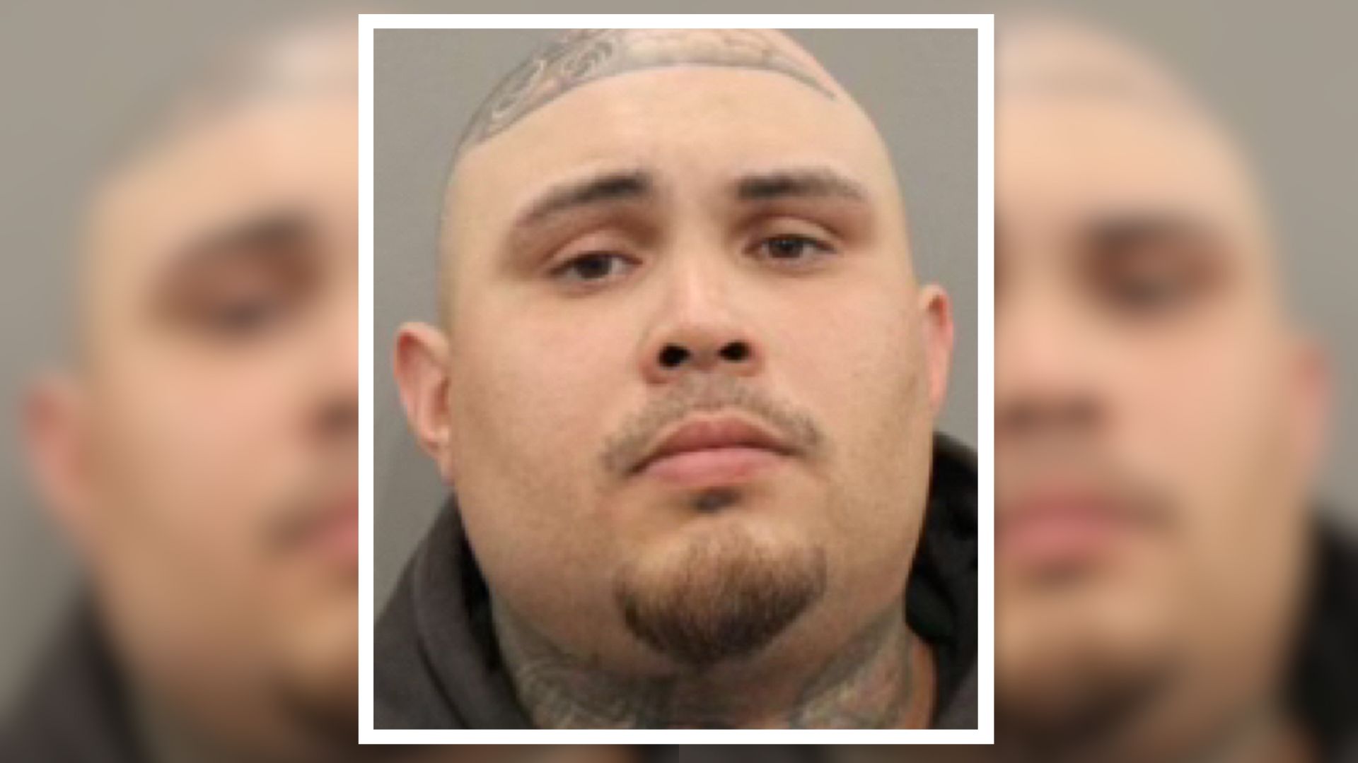 Lo que sabemos hasta el momento del arresto de Terry Bryan, el acusado ...