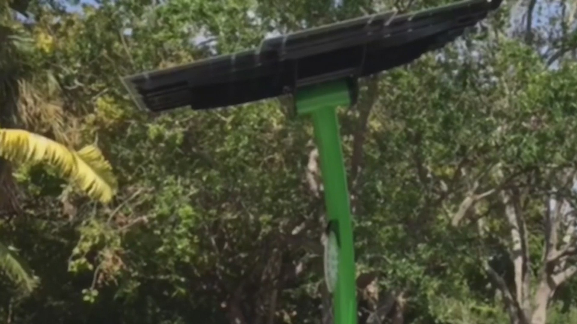 Zoológico de Miami estrena 200 paneles solares gracias al programa ...