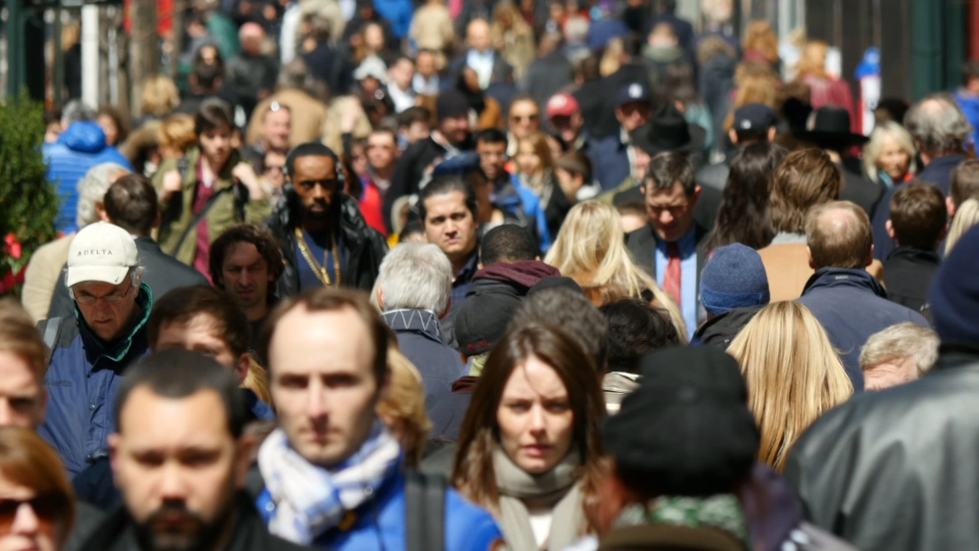 The importance of the power of divisive language | Univision News ...