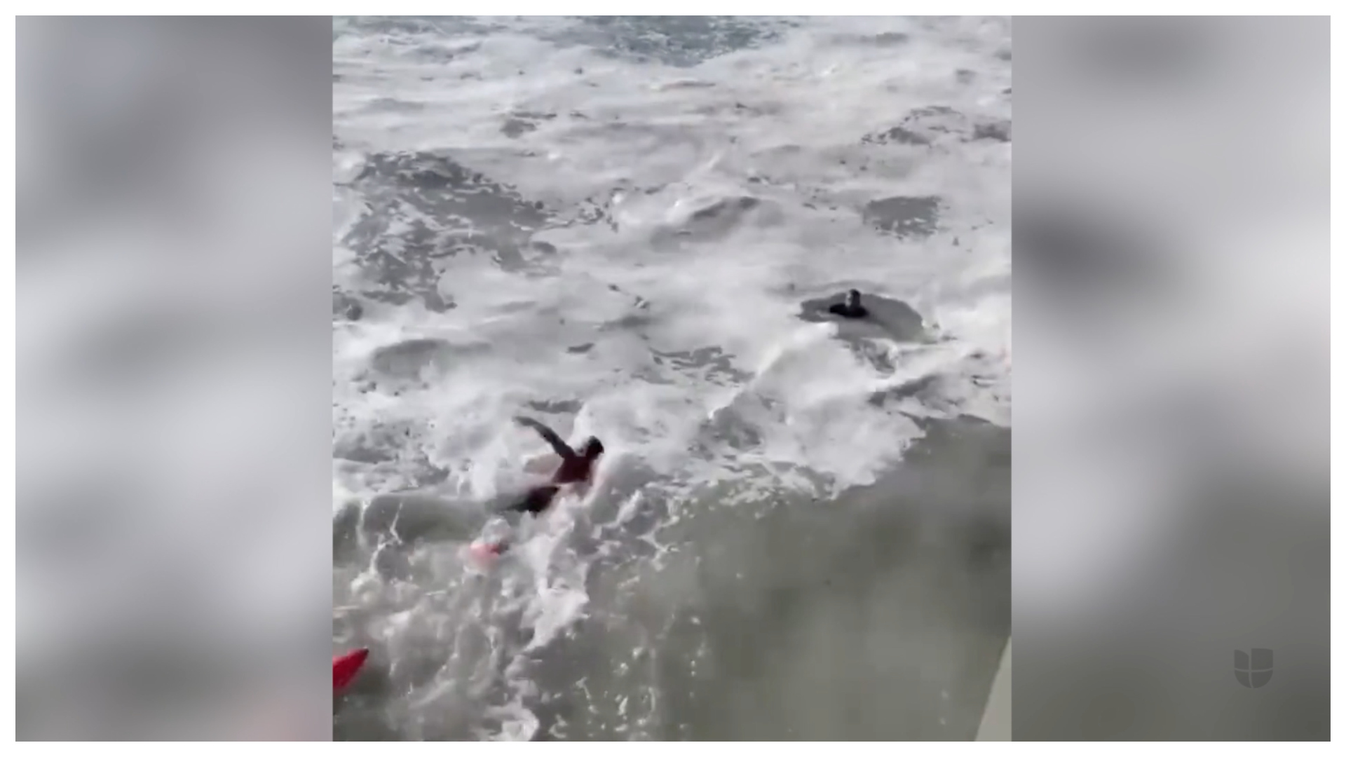 Bomberos de Miami Beach rescatan a varias personas arrastradas por la ...