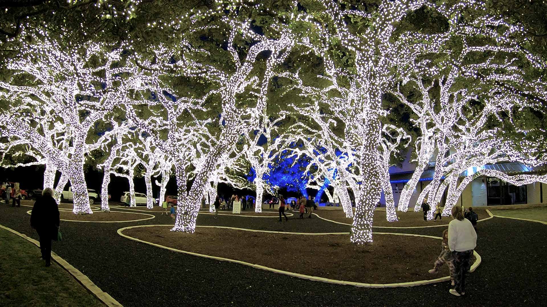 Así luce el “bosque mágico” alumbrado con millones de luces en Johnson ...