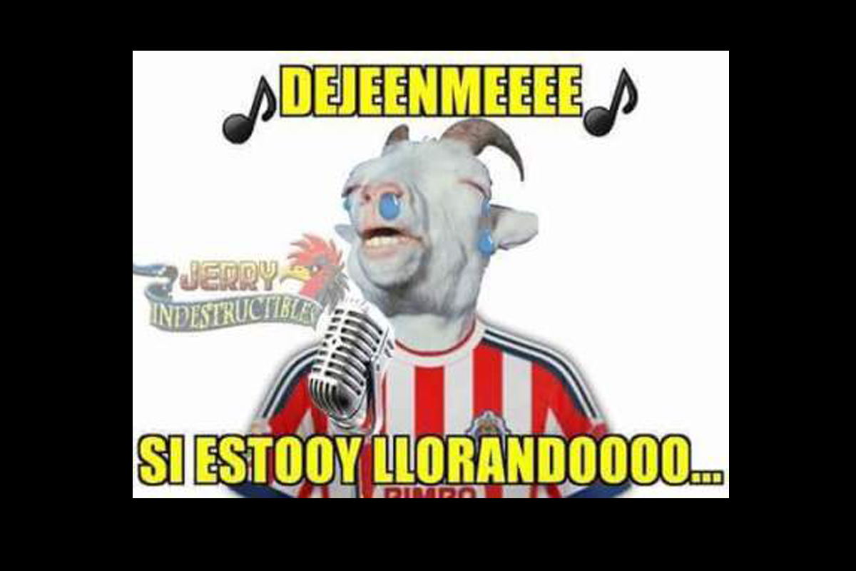 Los memes no perdonaron el Guadalajara vs. América | Deportes Liga MX ...