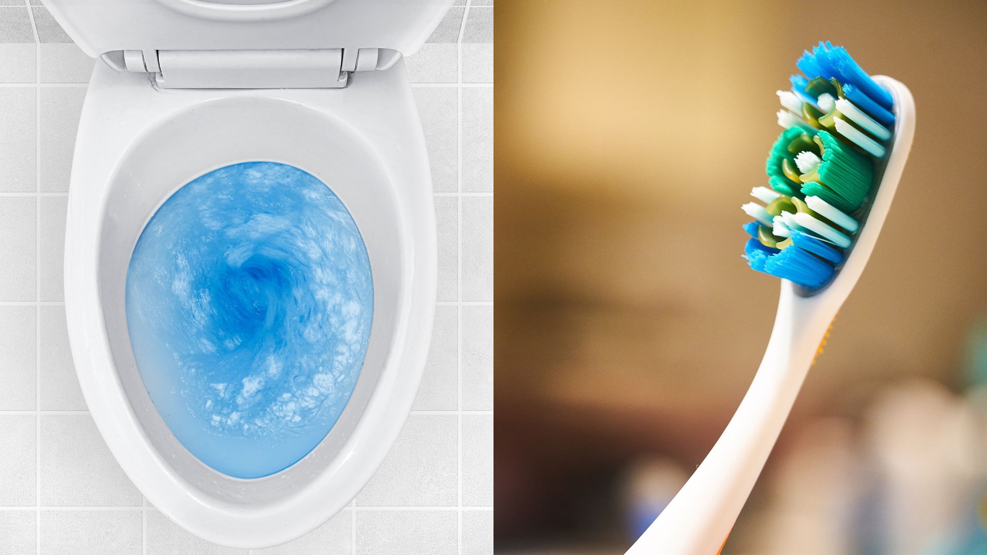 Razones por las que debes mantener la tapa de tu WC cerrada | Estilo de ...