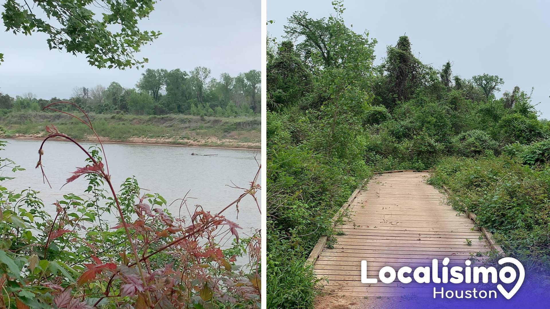 Acampa, camina y disfruta de la naturaleza en el parque estatal Stephen ...