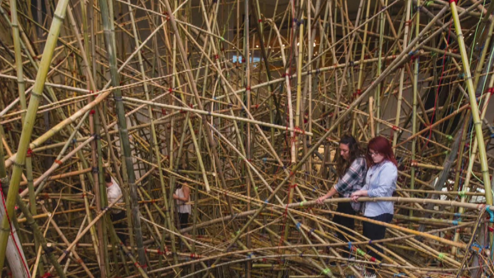 'Big Bambu', una nueva exhibición en el Museo de Bellas Artes de ...