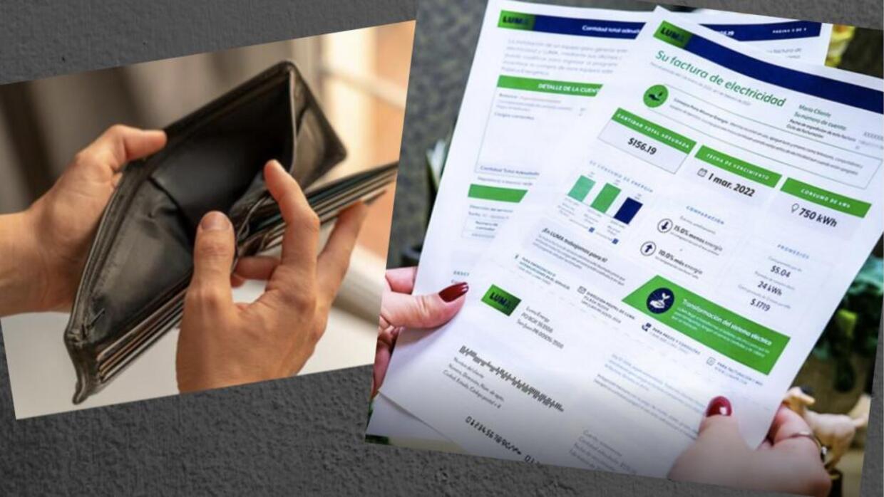 Senador asegura que LUMA Energy cobró indebidamente 600 millones de ...