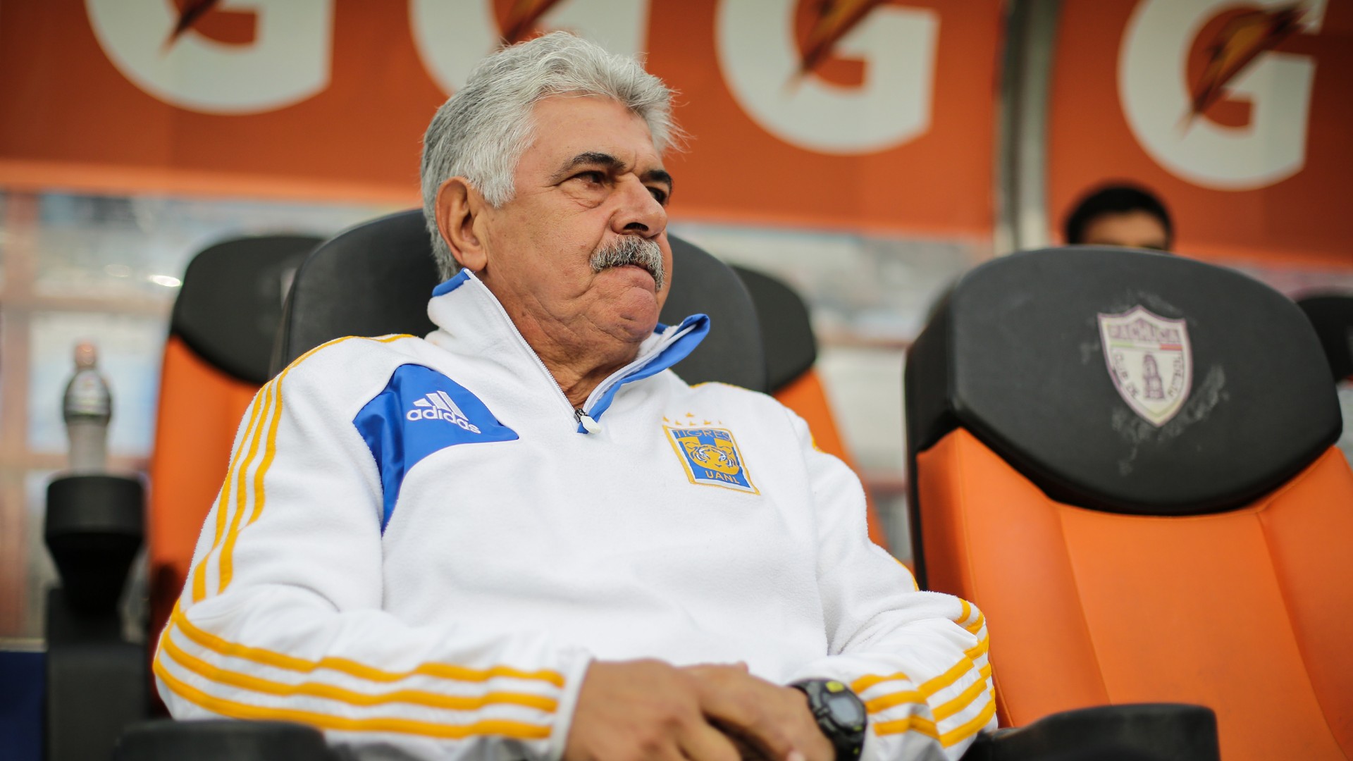 ¡'Tuca', decídete! Tigres o el ´Tri', pero no te puedes quedar con las ...