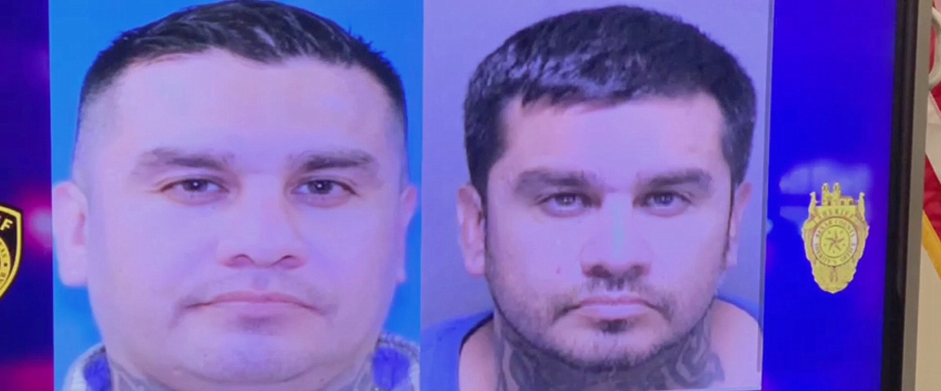 Esto es lo que se sabe sobre el asesinato de Serena Kay Bain | Video ...