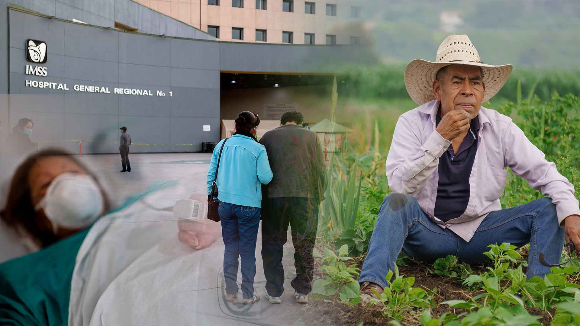 Cómo inscribirse en el Seguro Social (IMSS) de México desde Estados ...