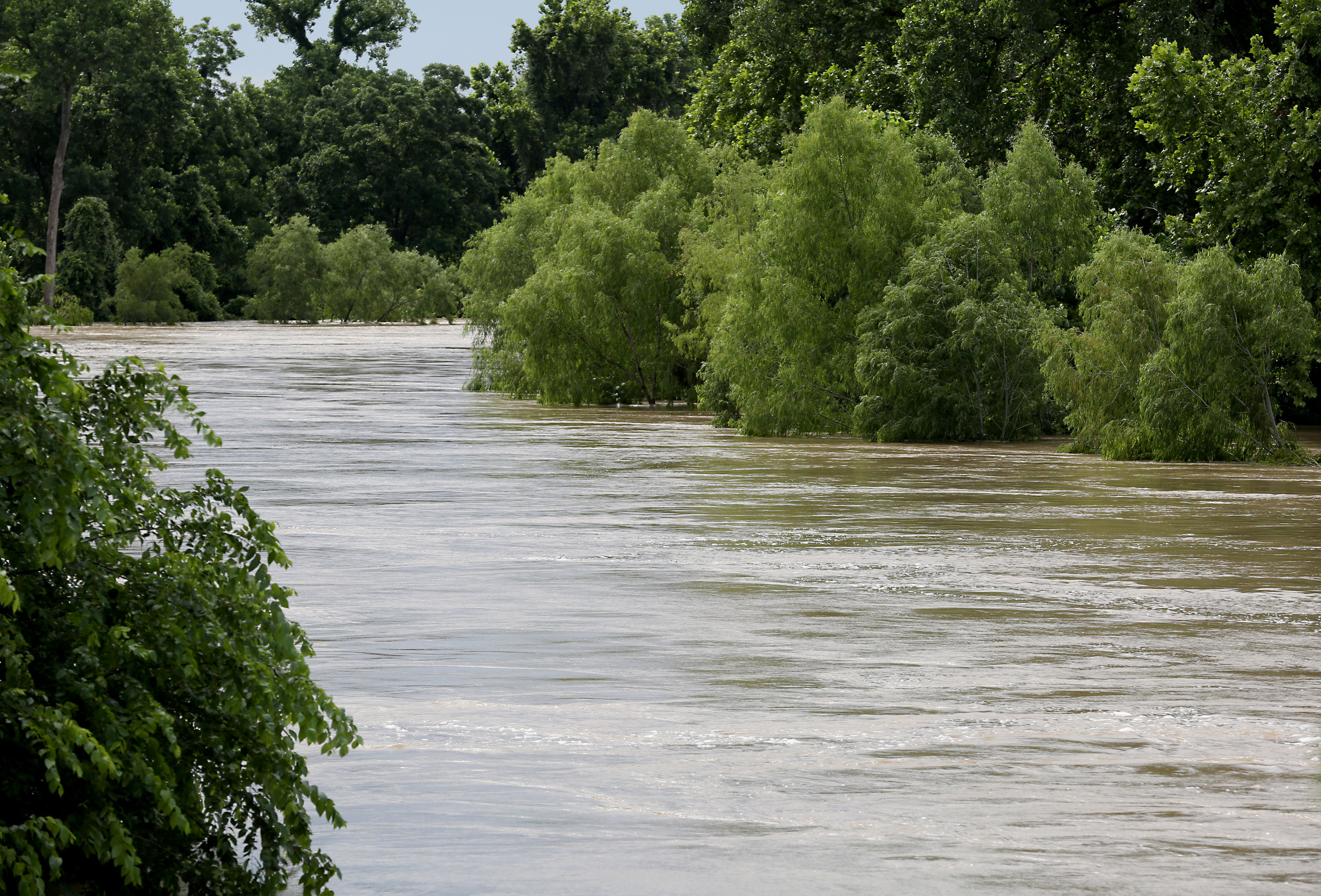 Ameba comecerebros en Texas: Cómo protegerte de estas en lagos y ríos ...