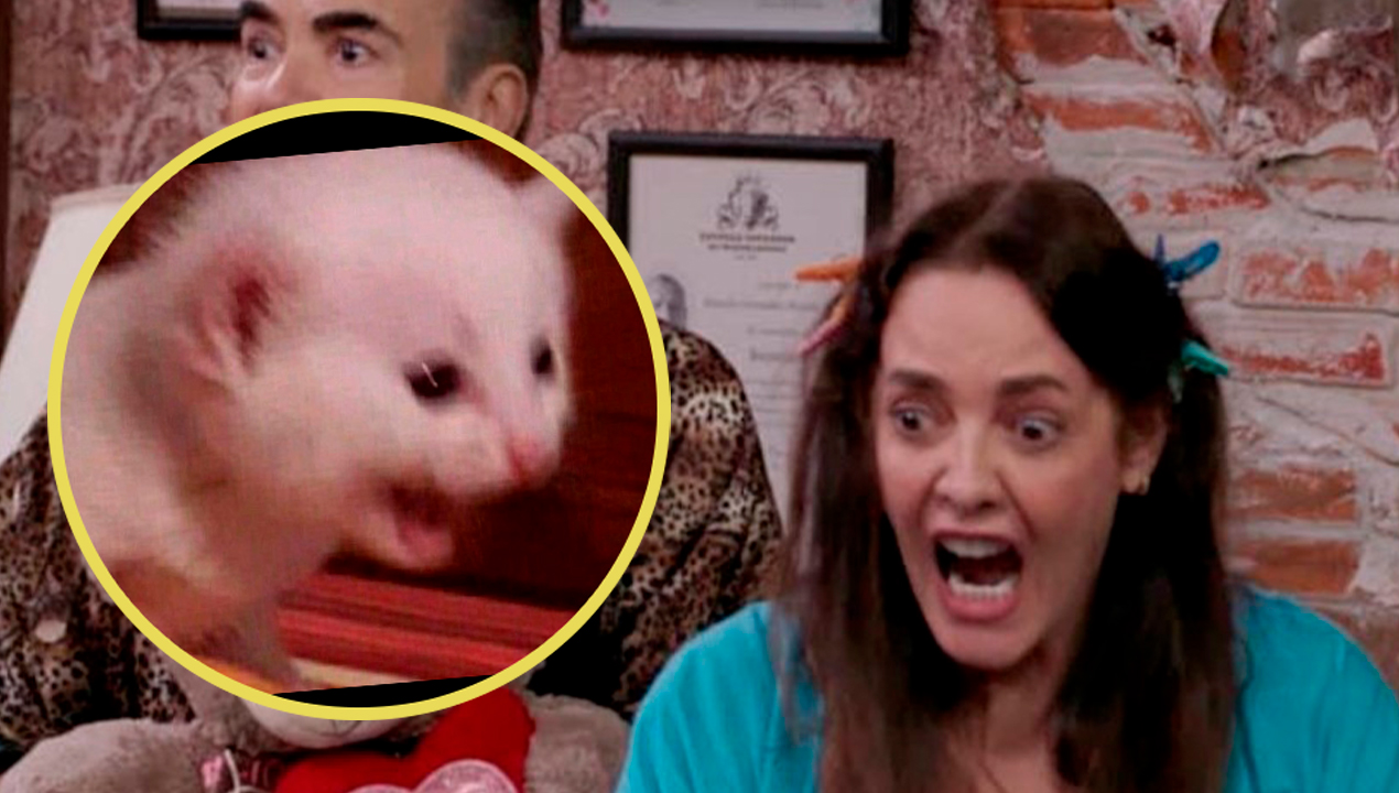 "Me da un aquel no saber de mí" los extraños padecimientos de la Tía ...