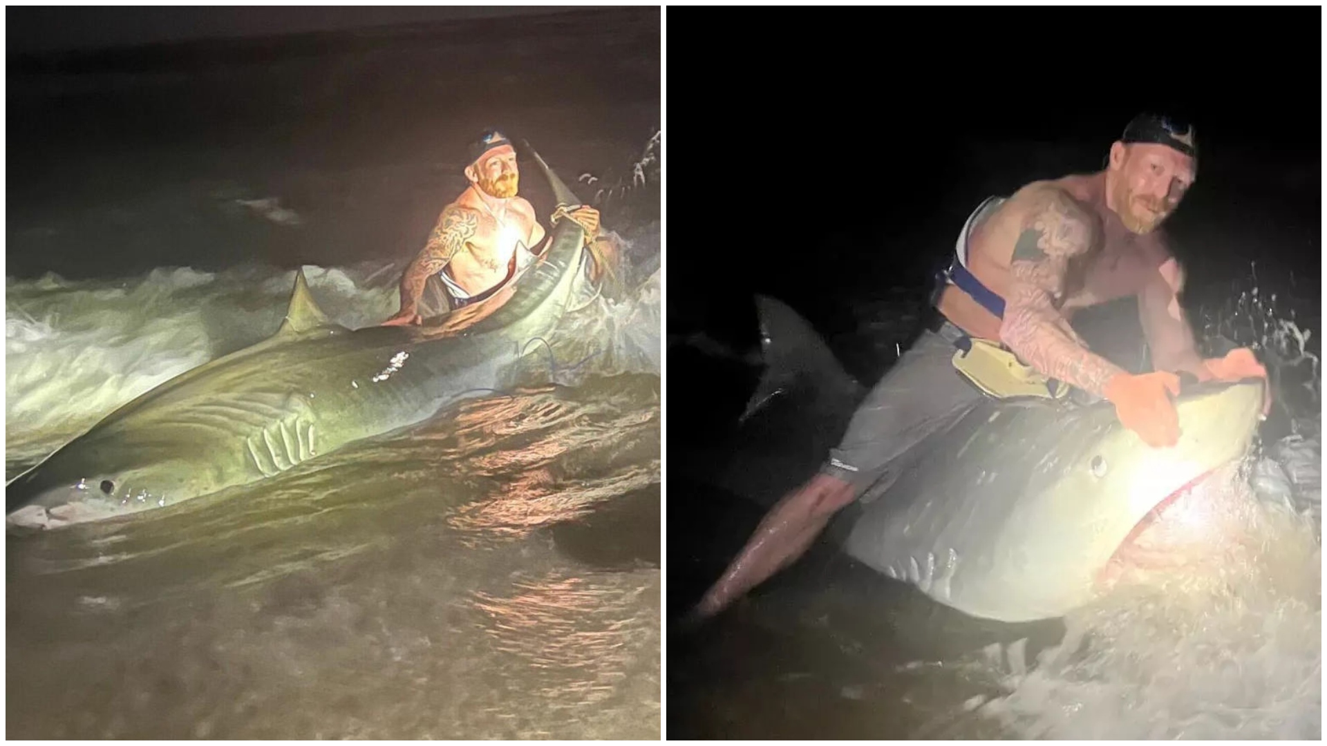 Christian Haltermann de Texas atrapa un tiburón tigre de 12.5 pies en ...