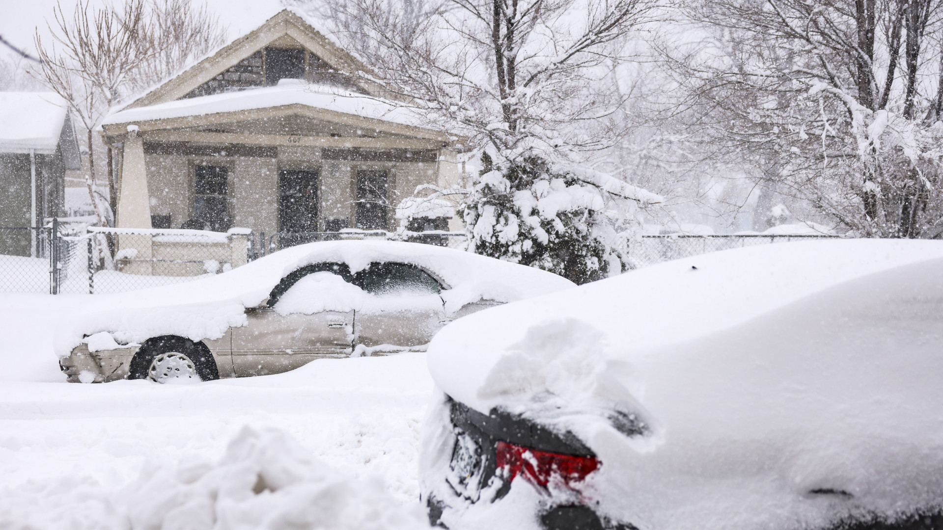 Esto es lo que trae la tormenta invernal que dejó varios pies de nieve ...