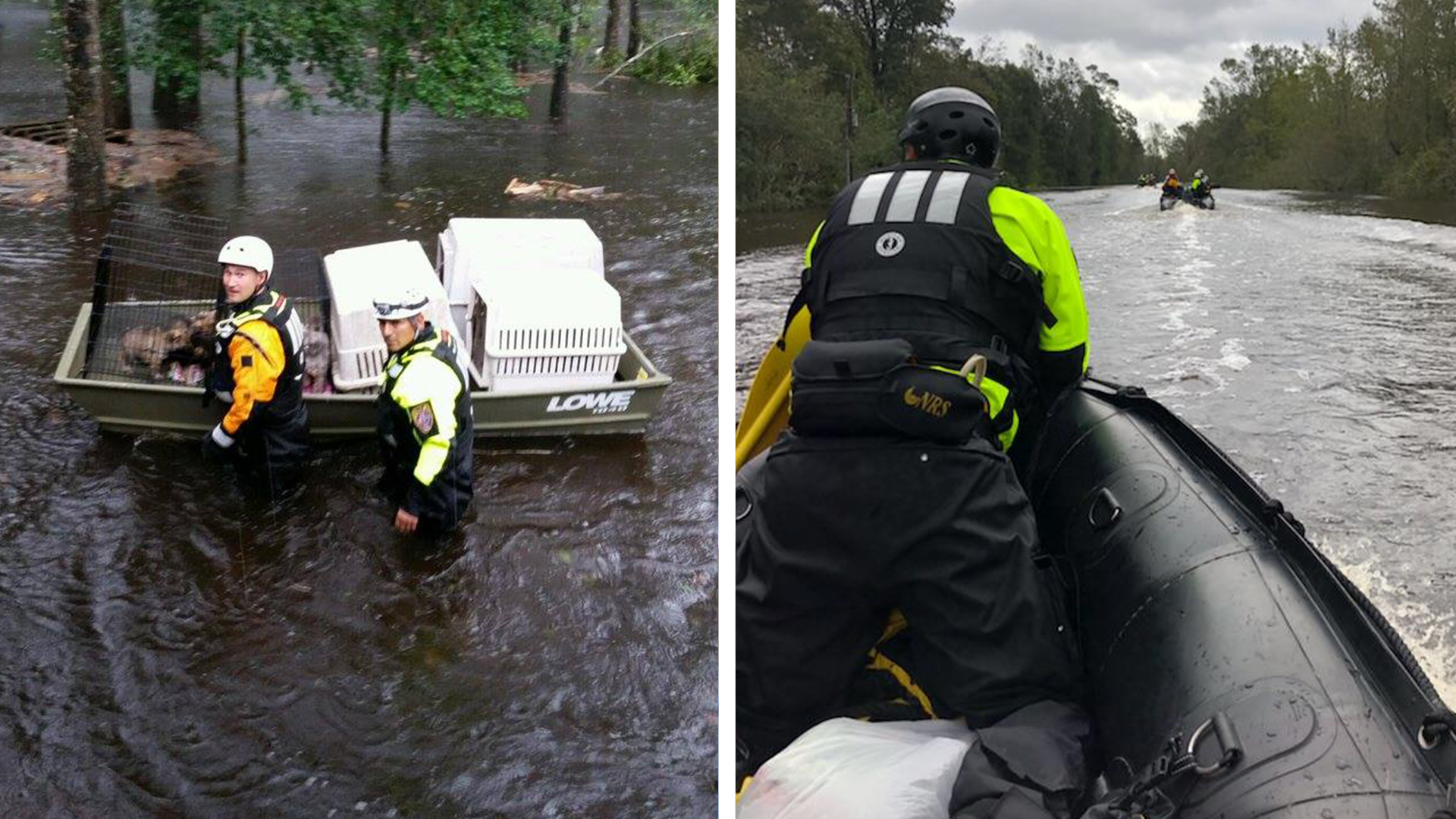 "Sabemos cómo es tener una tormenta devastadora”: Rescatistas de NC se ...
