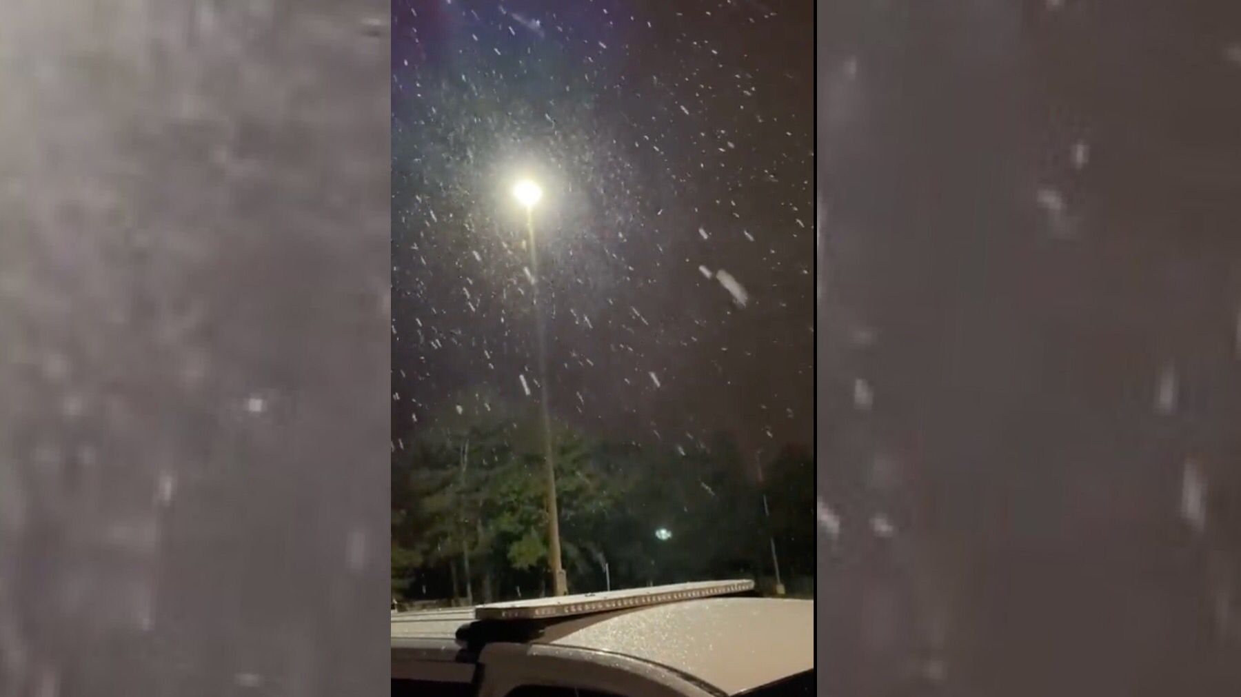 ¡Nieve en Florida!: bajó de 75 a 35 grados Fahrenheit y cayeron los ...