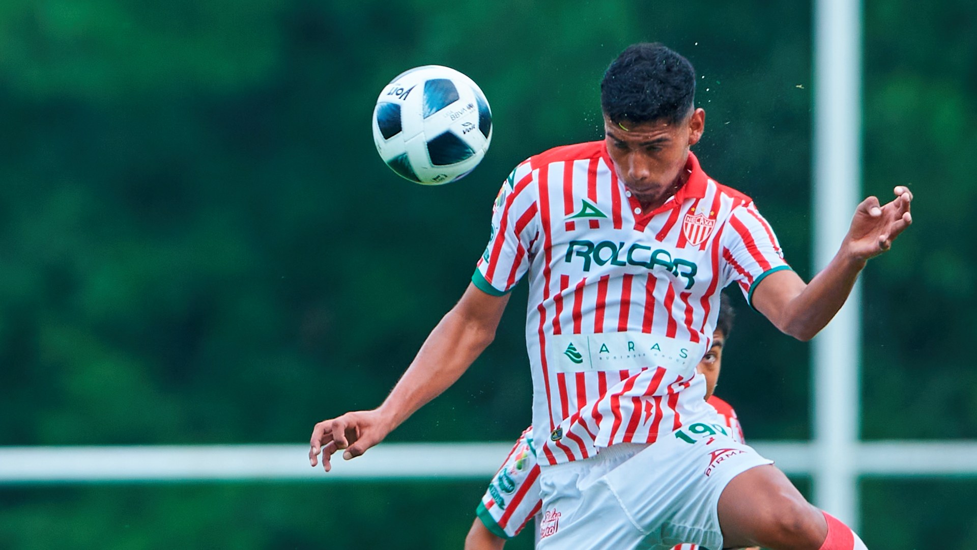 Jesús Alcantar, canterano de Necaxa, en la mira de Sporting y ...