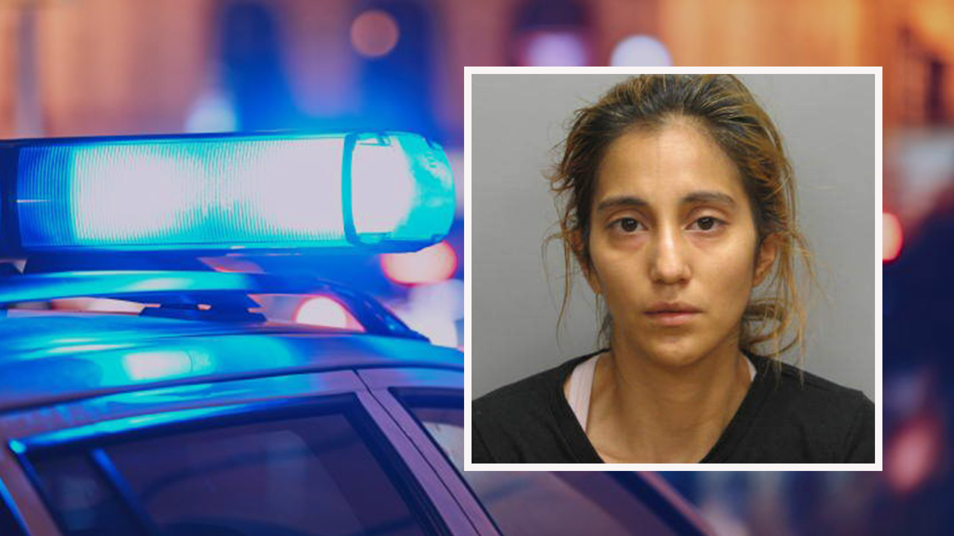 Arrestan en Houston a Maria Sophia Davis-Fields acusada de meter en ...