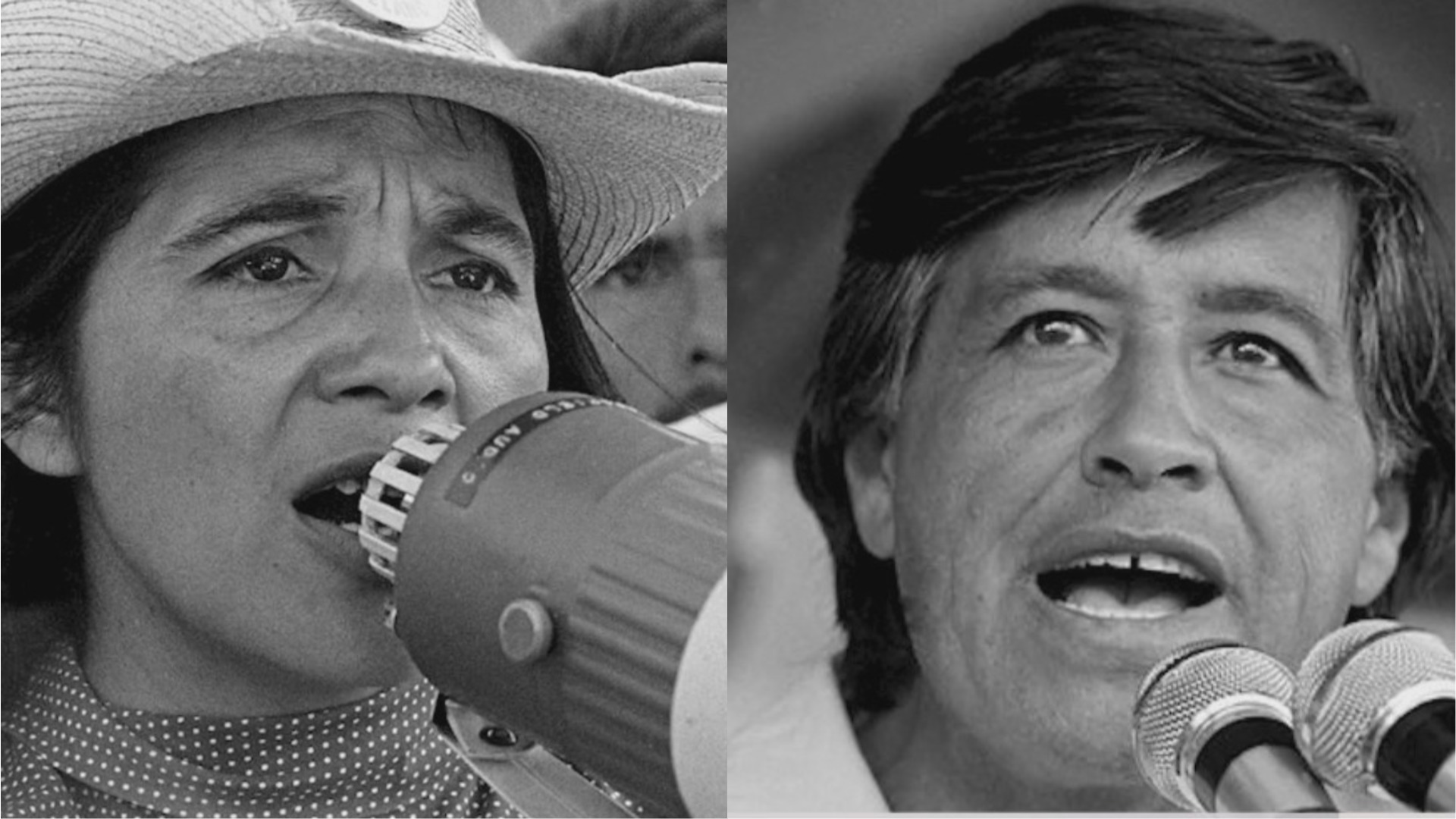 Distrito escolar de Houston resalta el legado de Cesar Chavez y Dolores ...