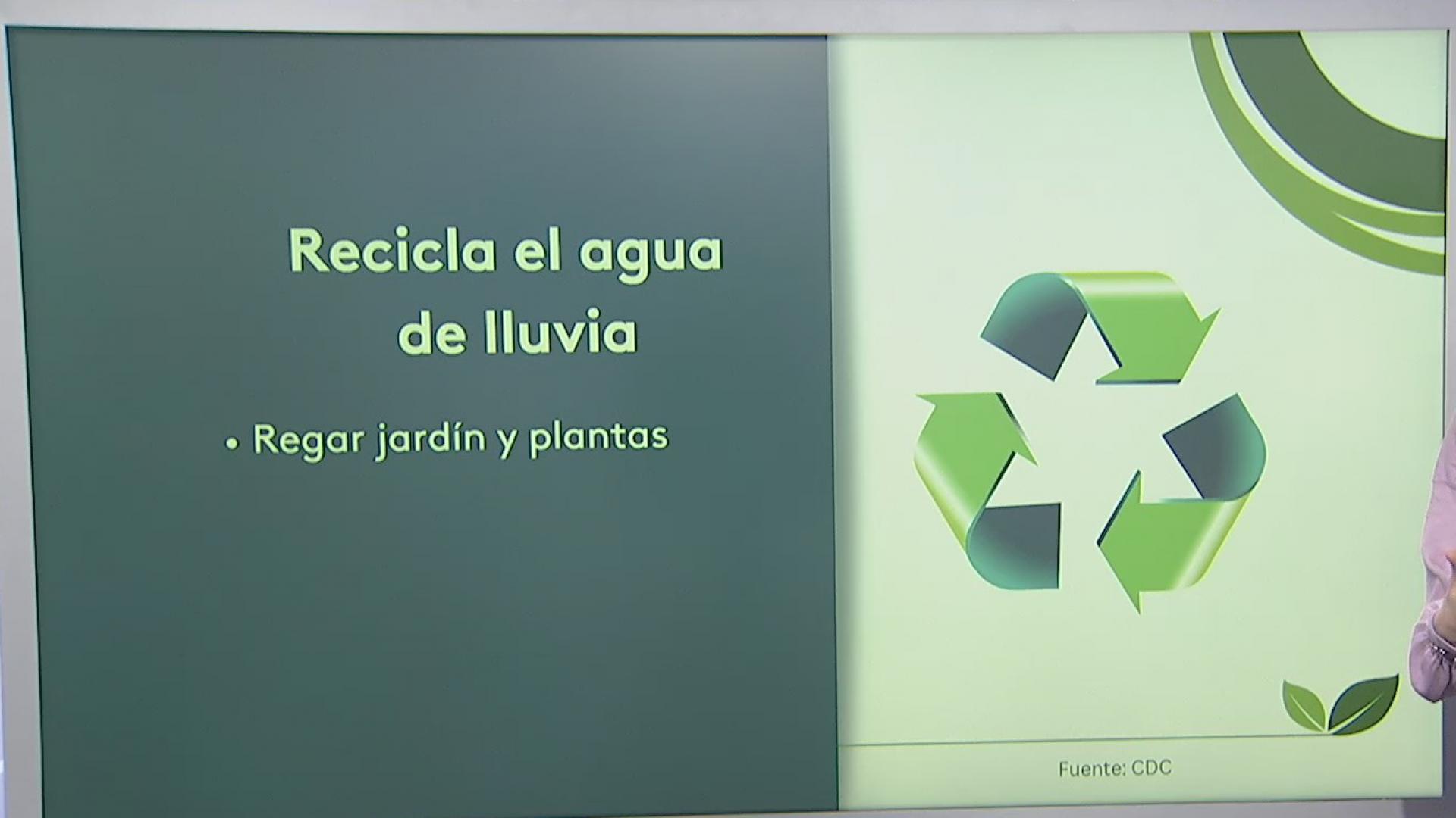 Recomendaciones para reciclar el agua de lluvia y cómo puedes ...